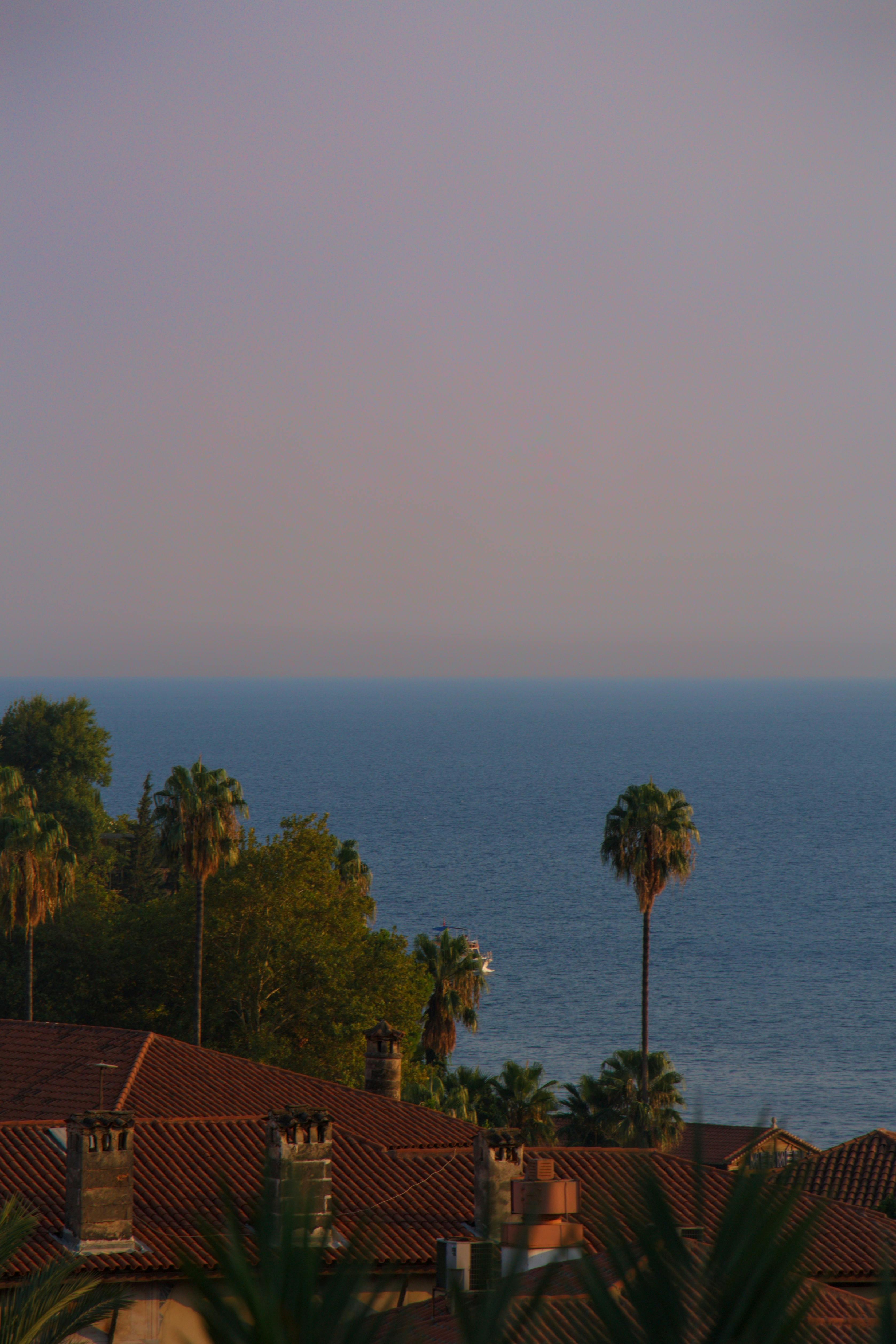 Walpaper Photos, Download Free Walpaper Stock Photos & HD Images