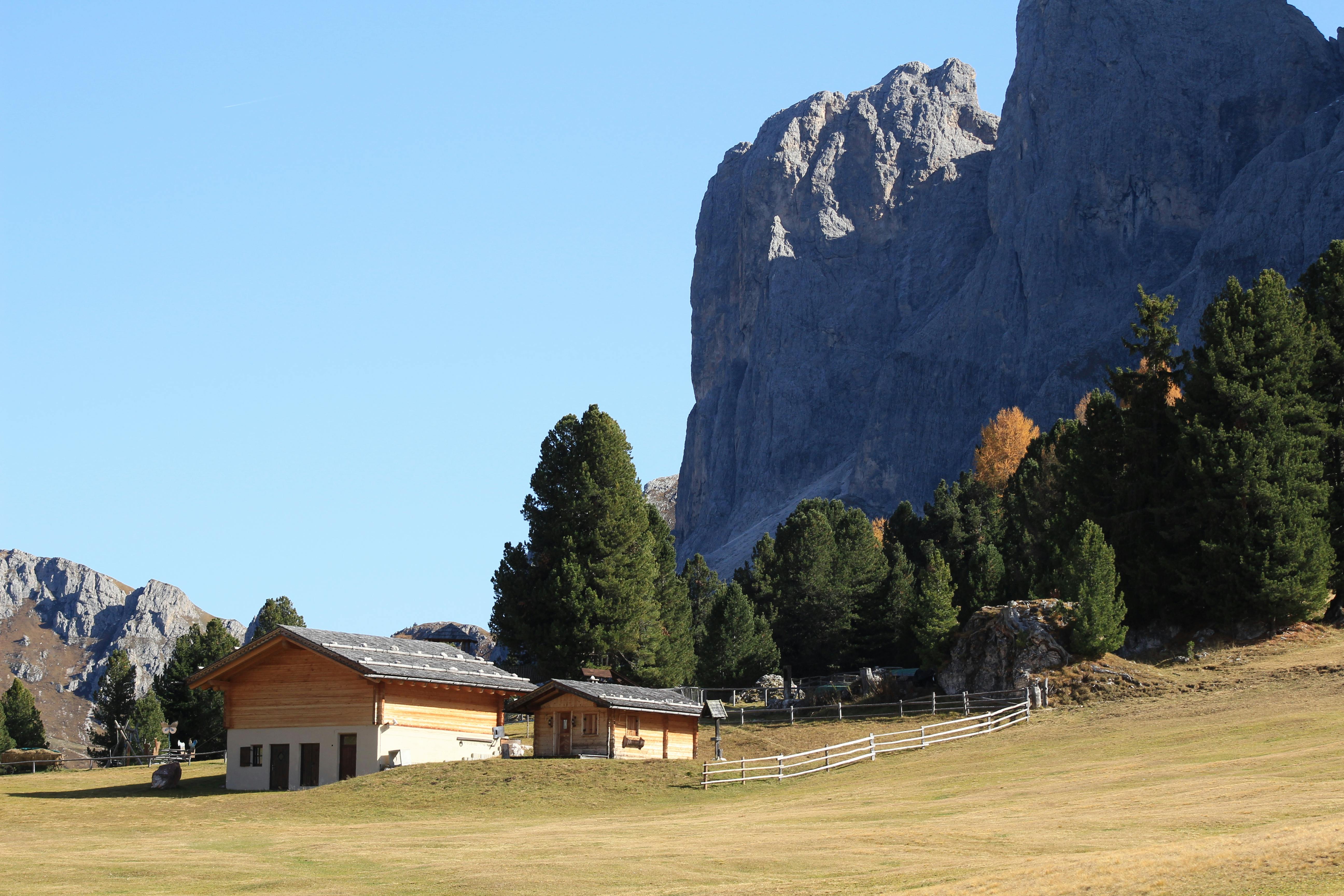 Logs outside a Cabin · Free Stock Photo