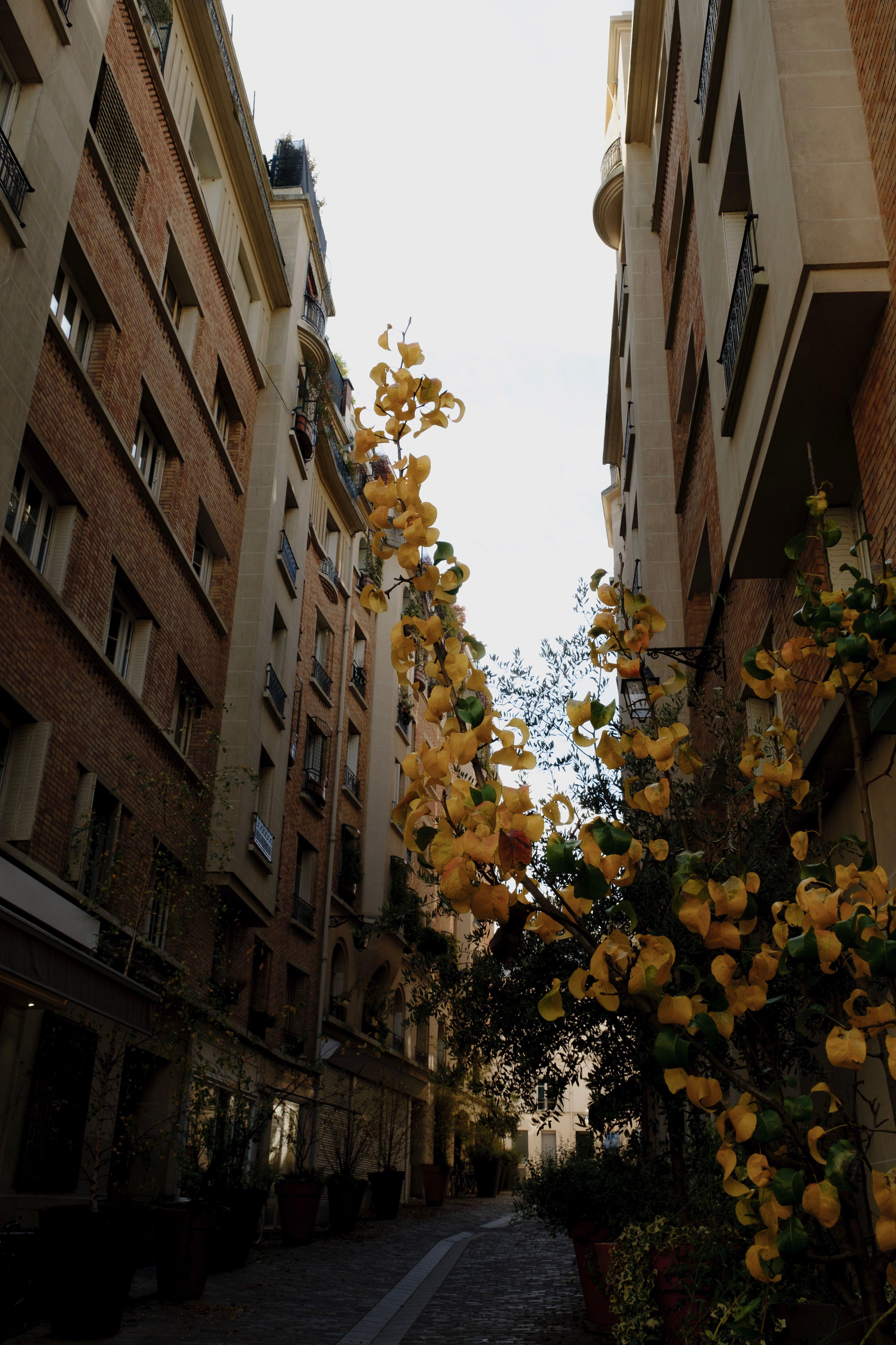 A Street Between Concrete Buildings · Free Stock Photo