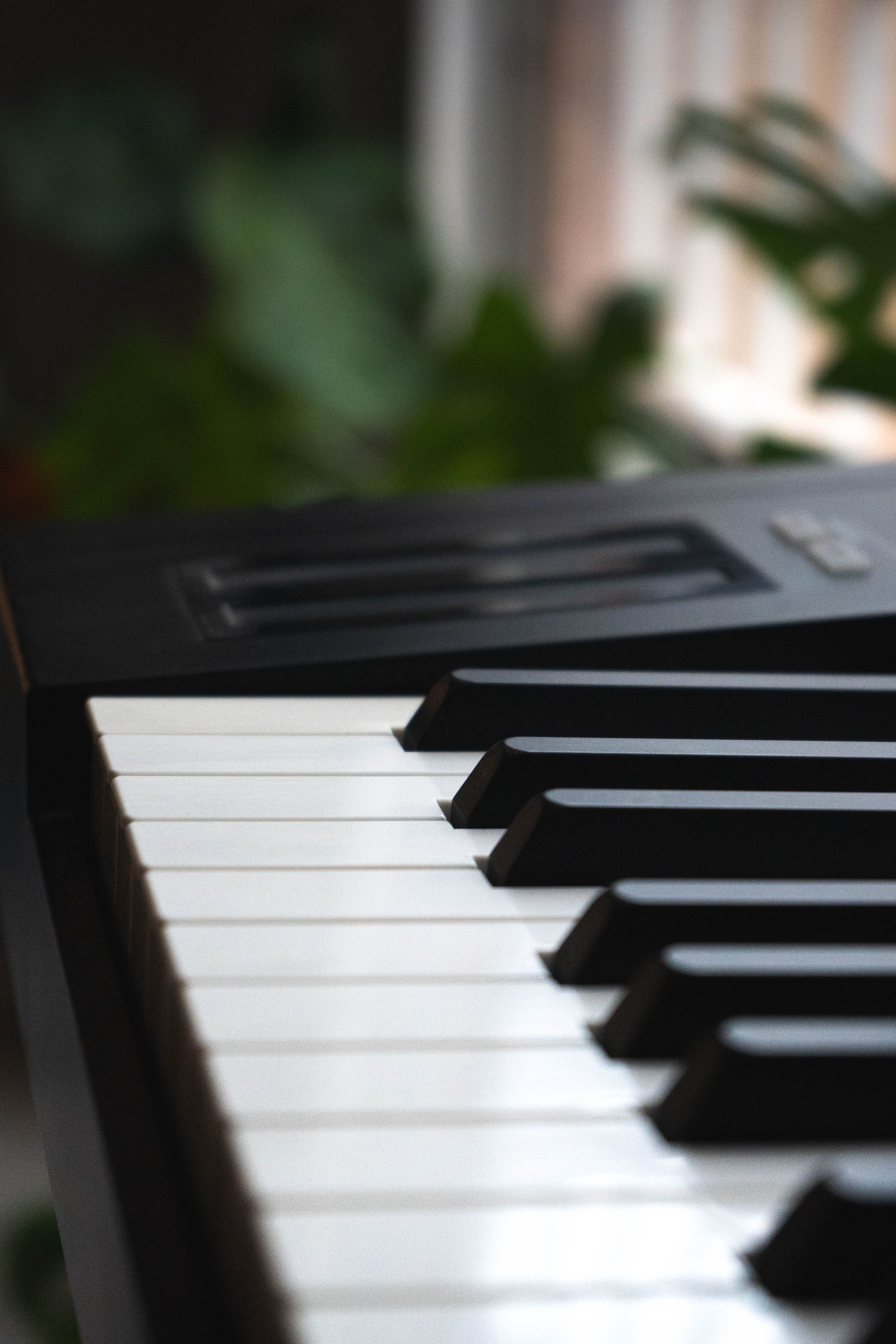 Piano Keyboard in Close-up Photography · Free Stock Photo