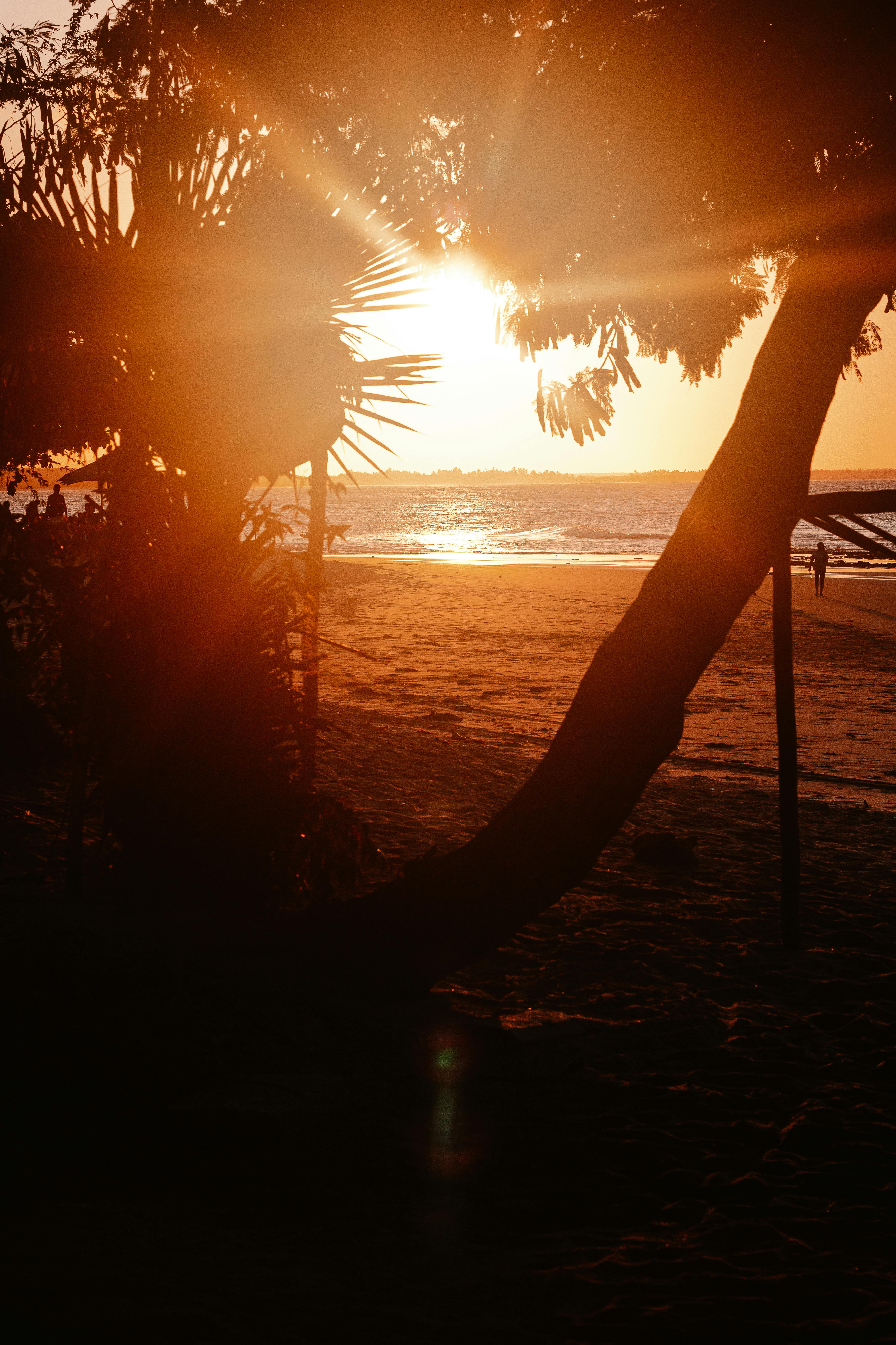 Bright Sunlight at Sunset · Free Stock Photo