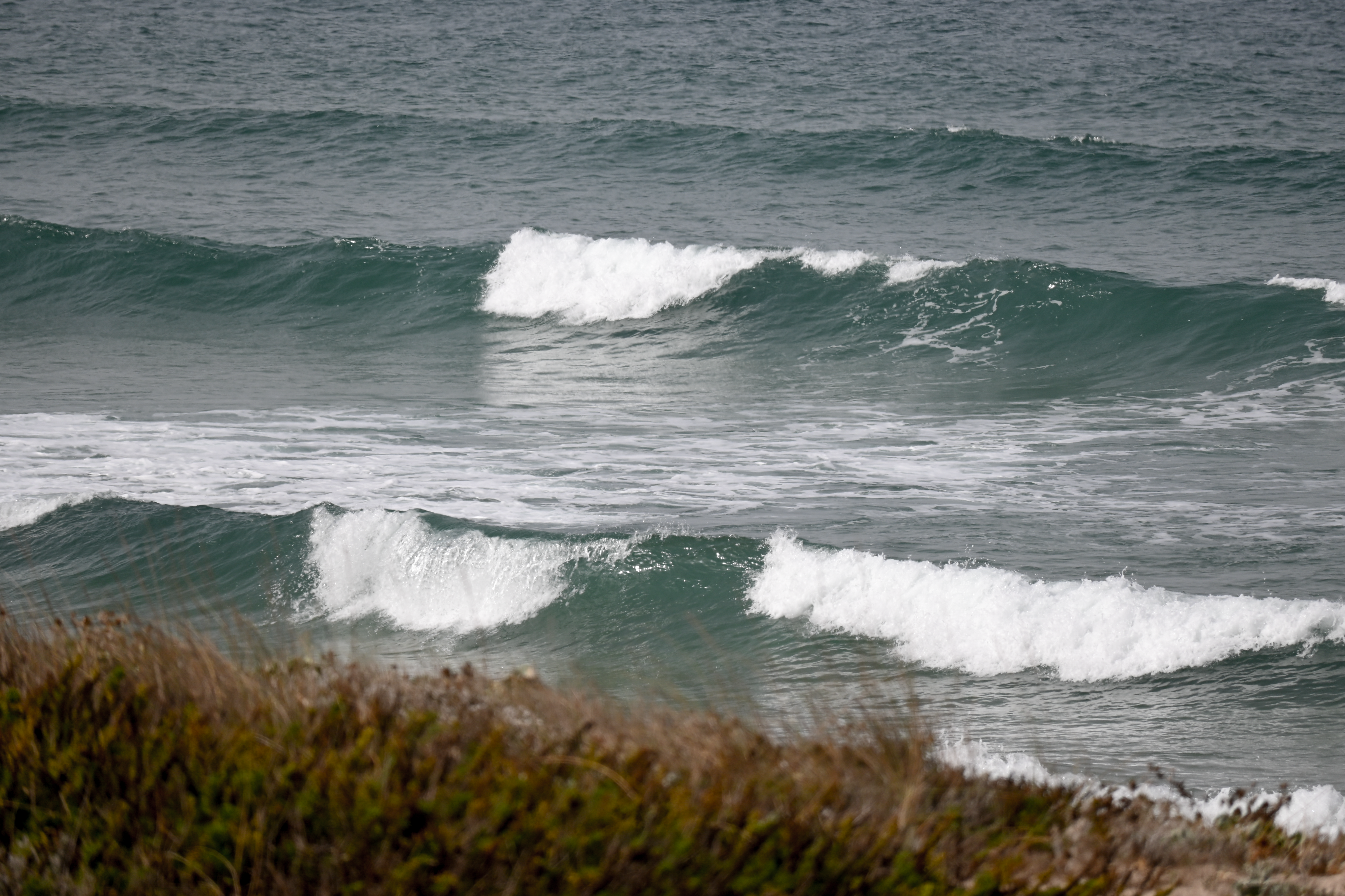 Close-up of Waves on the Sea Surface · Free Stock Photo