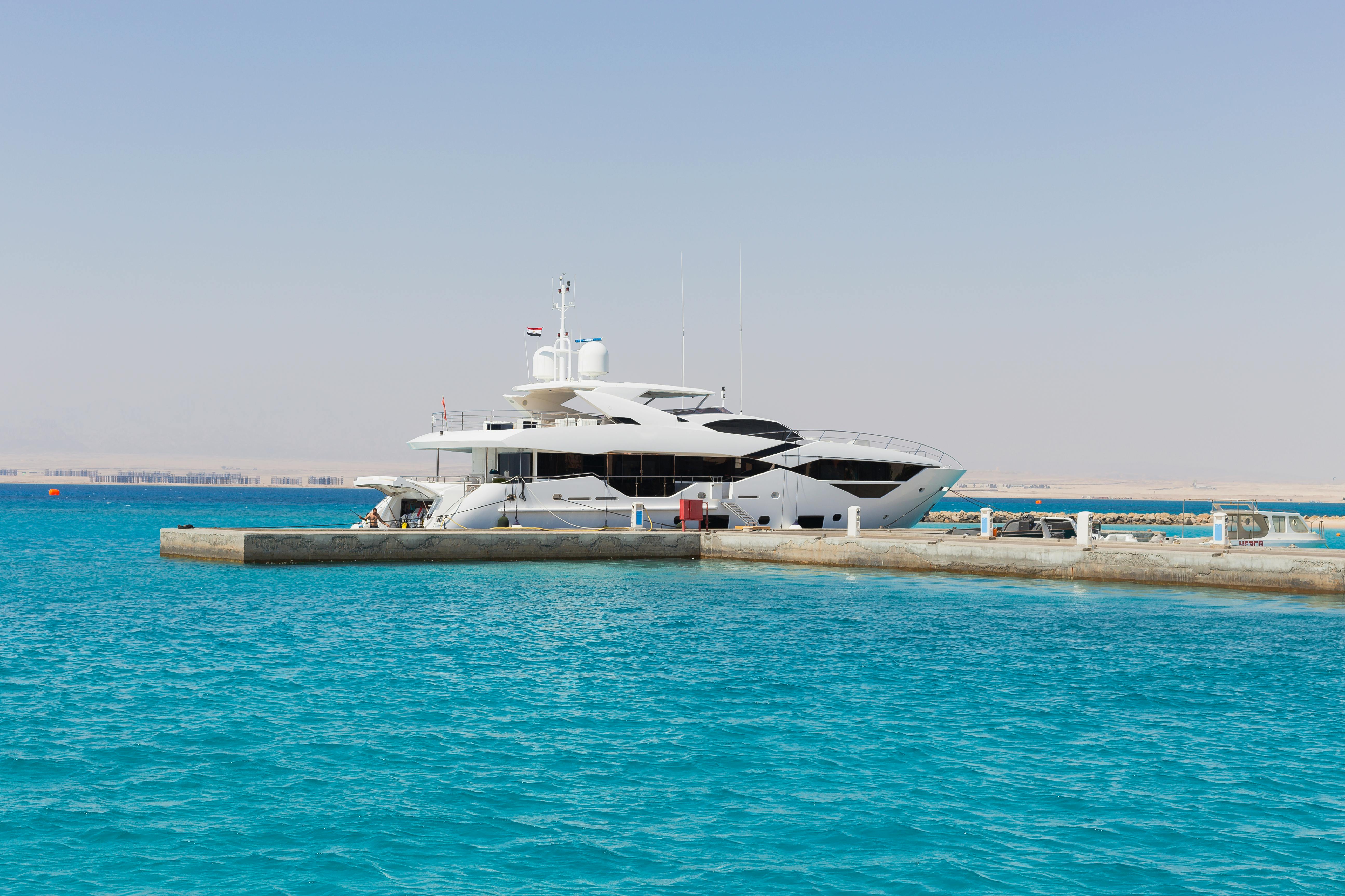 Egies Photos, Download The BEST Free Egies Stock Photos & HD Images