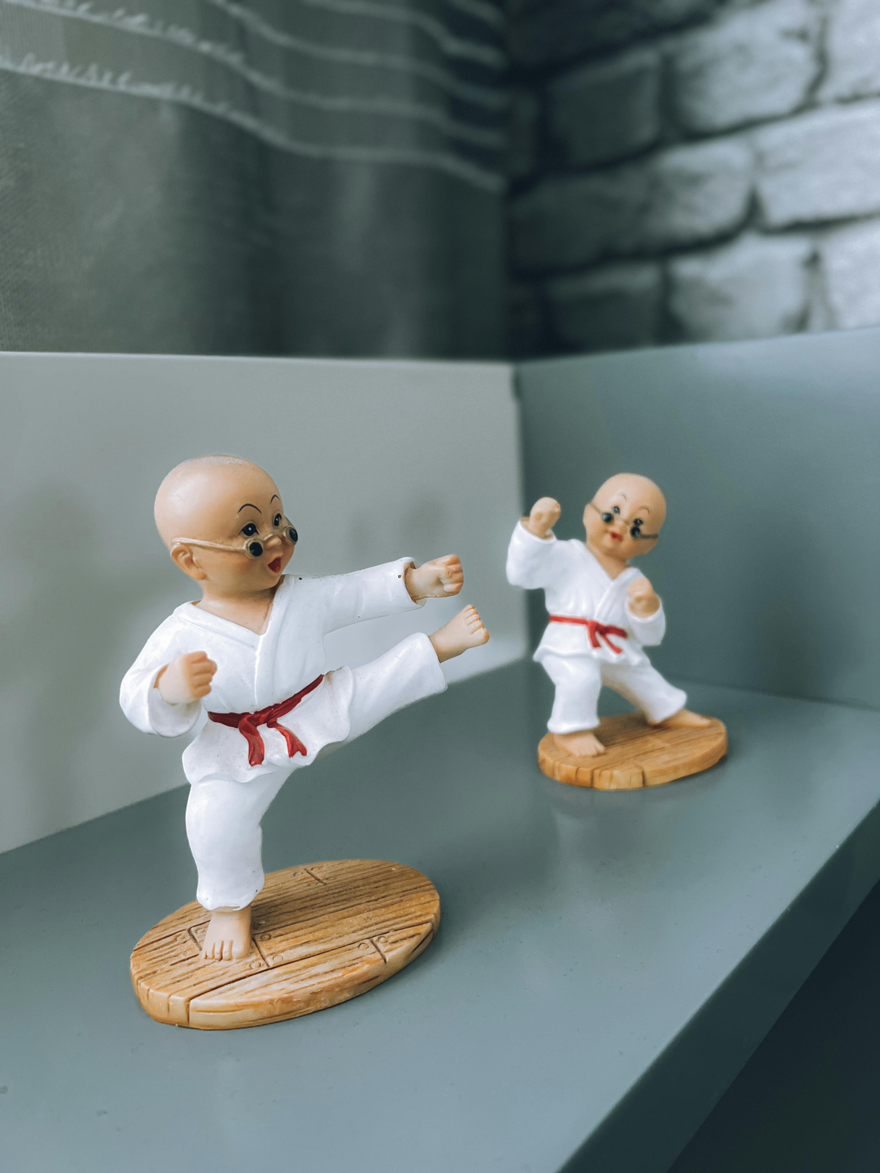 Toy Wystroj Dojo Photos, Download The BEST Free Toy Wystroj Dojo Stock ...
