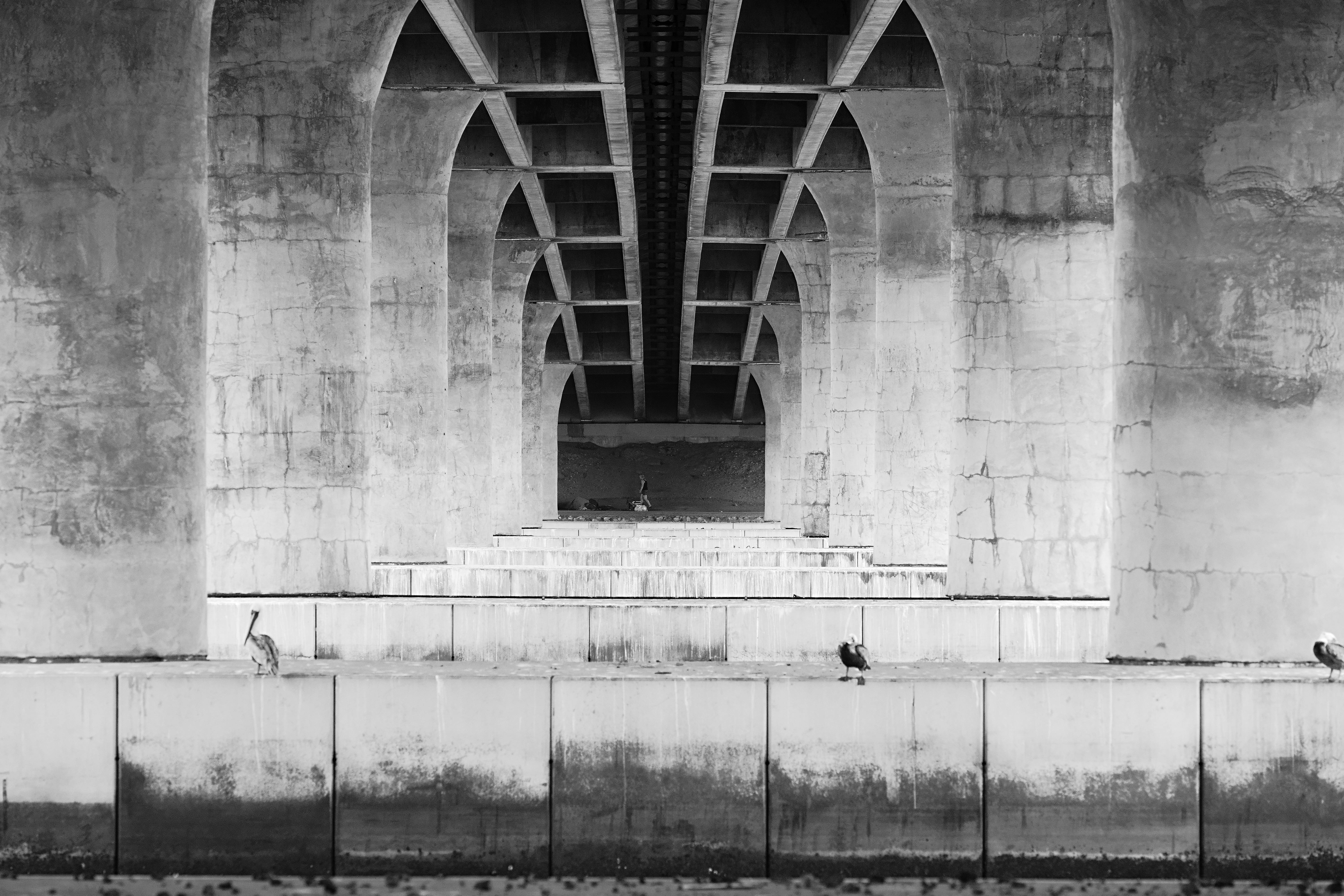 Black and White Photo of Columns under the Bridge · Free Stock Photo
