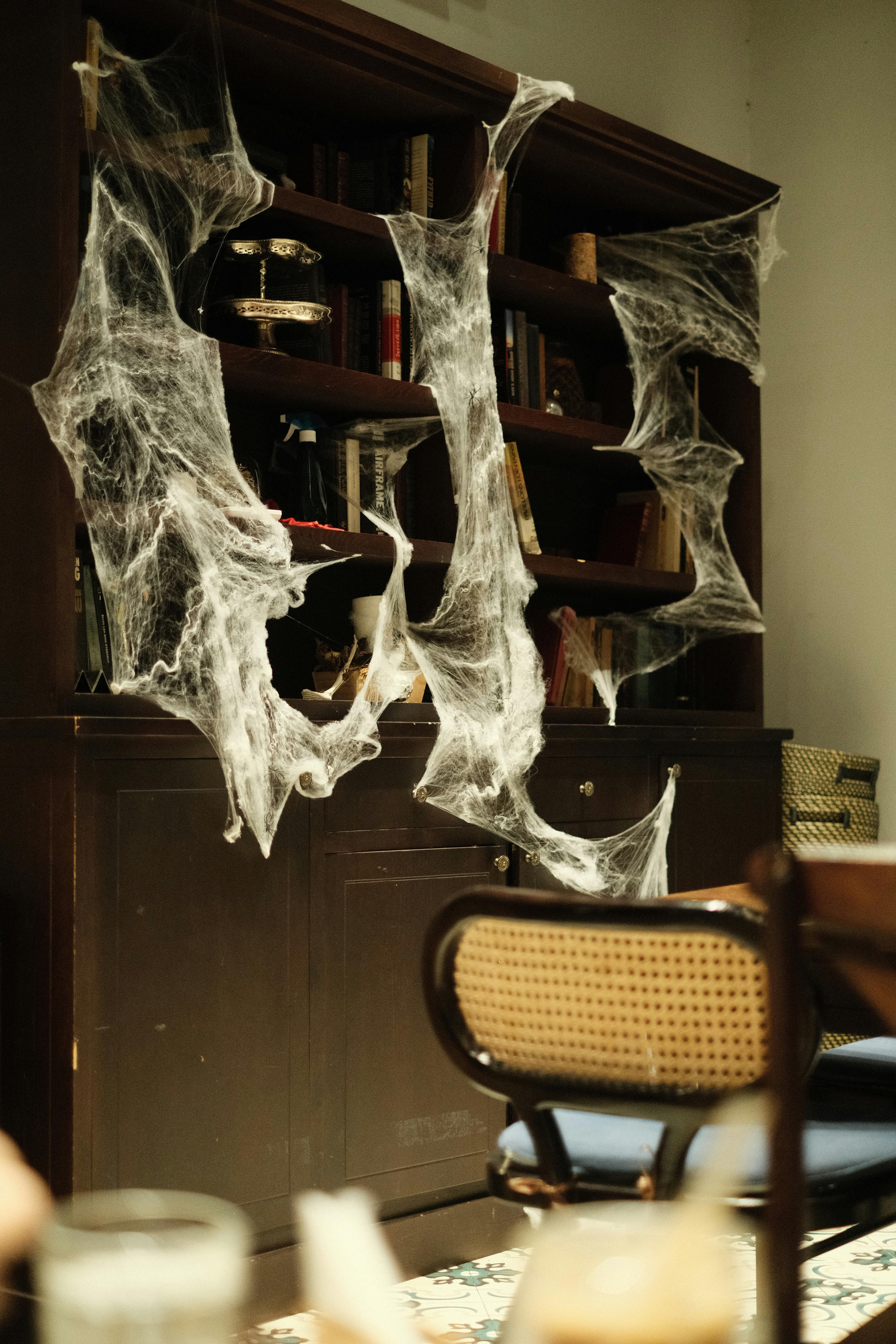 Spiderweb on Shelves in Cafe Interior · Free Stock Photo