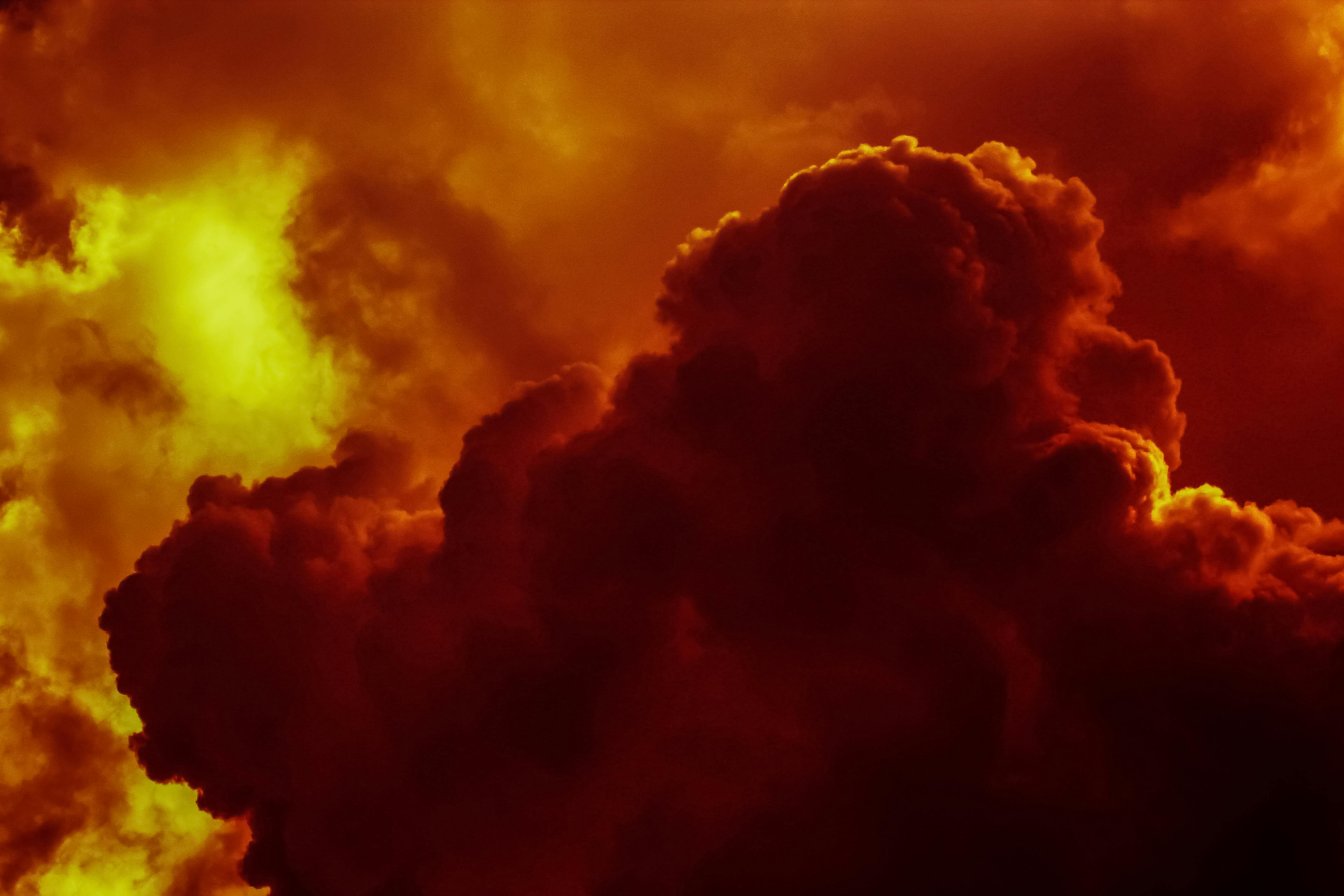 Talib Ali Khan - Photographie