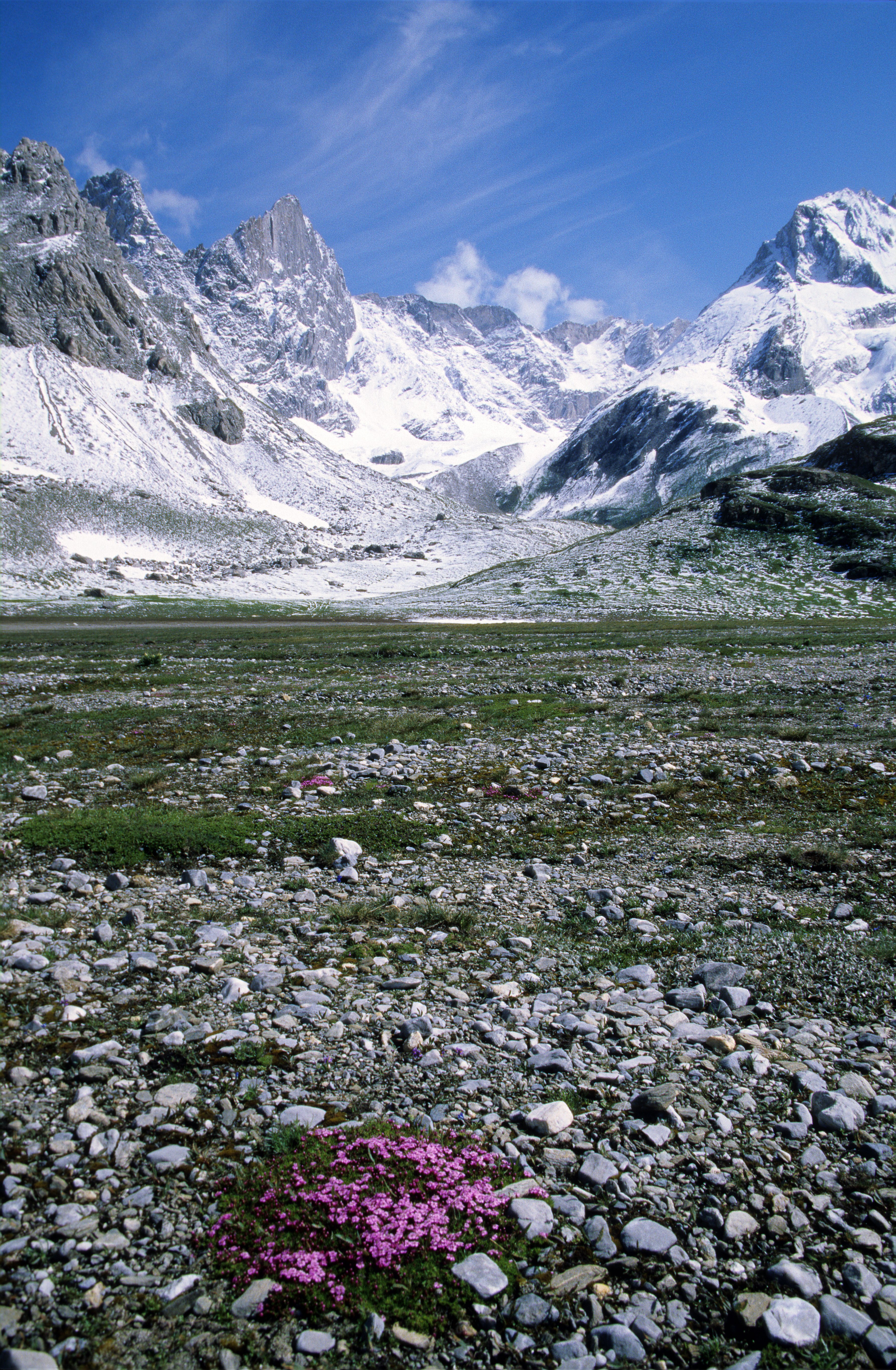 Green Grass Field Near Snow Capped Mountain Under Blue Sky · Free Stock ...