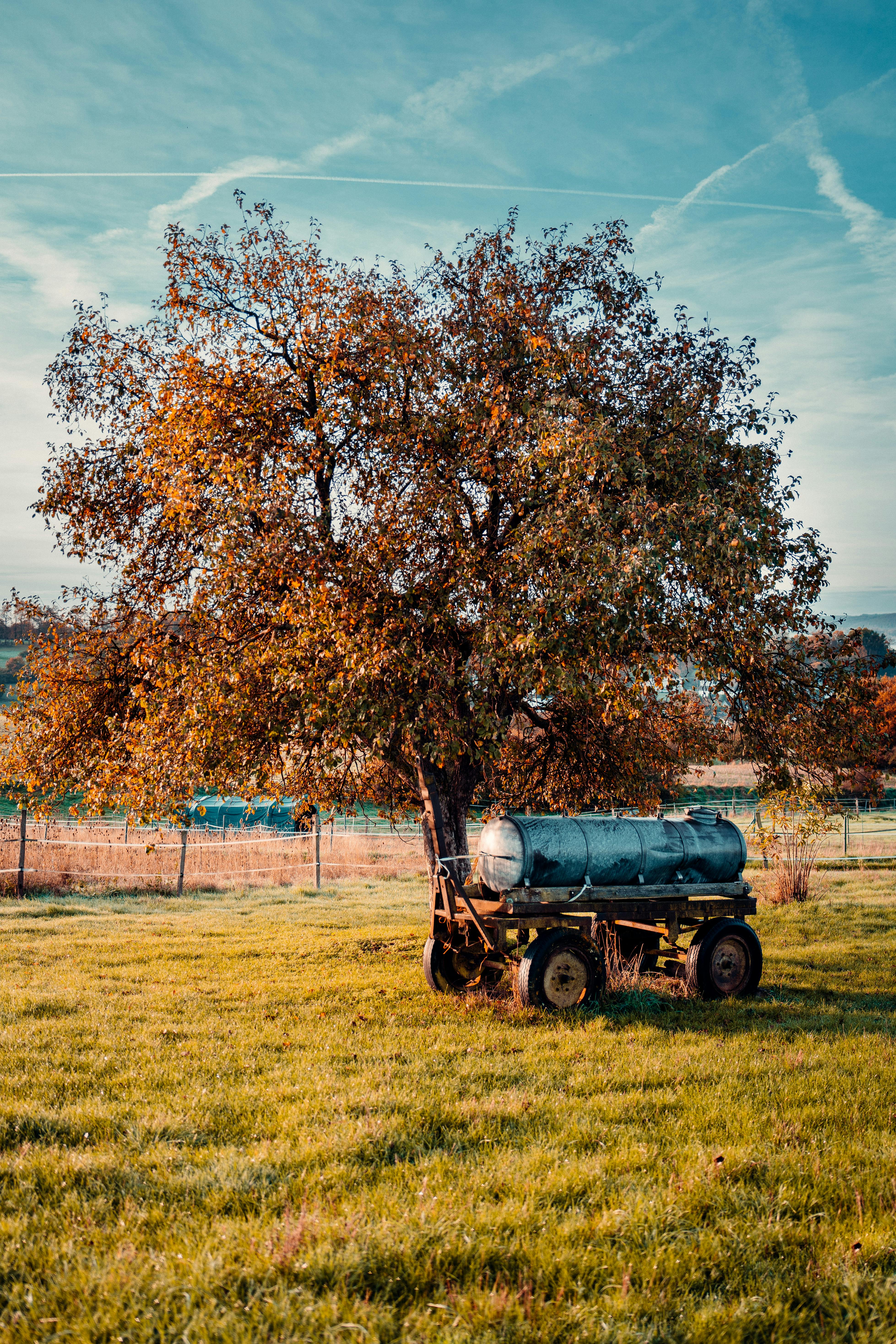 Tanker Parked under Tree in Field · Free Stock Photo
