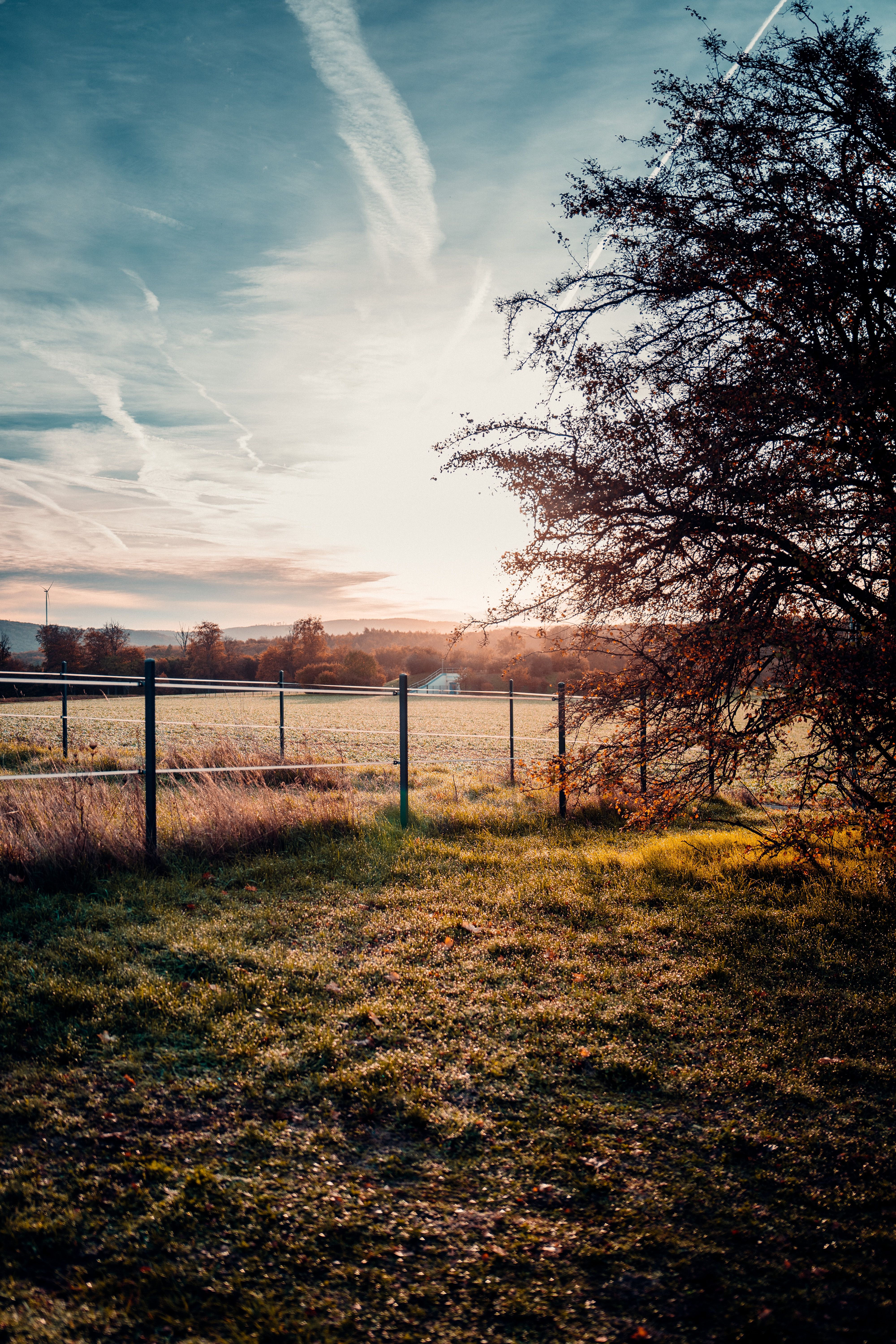 Fence on Grass Field · Free Stock Photo