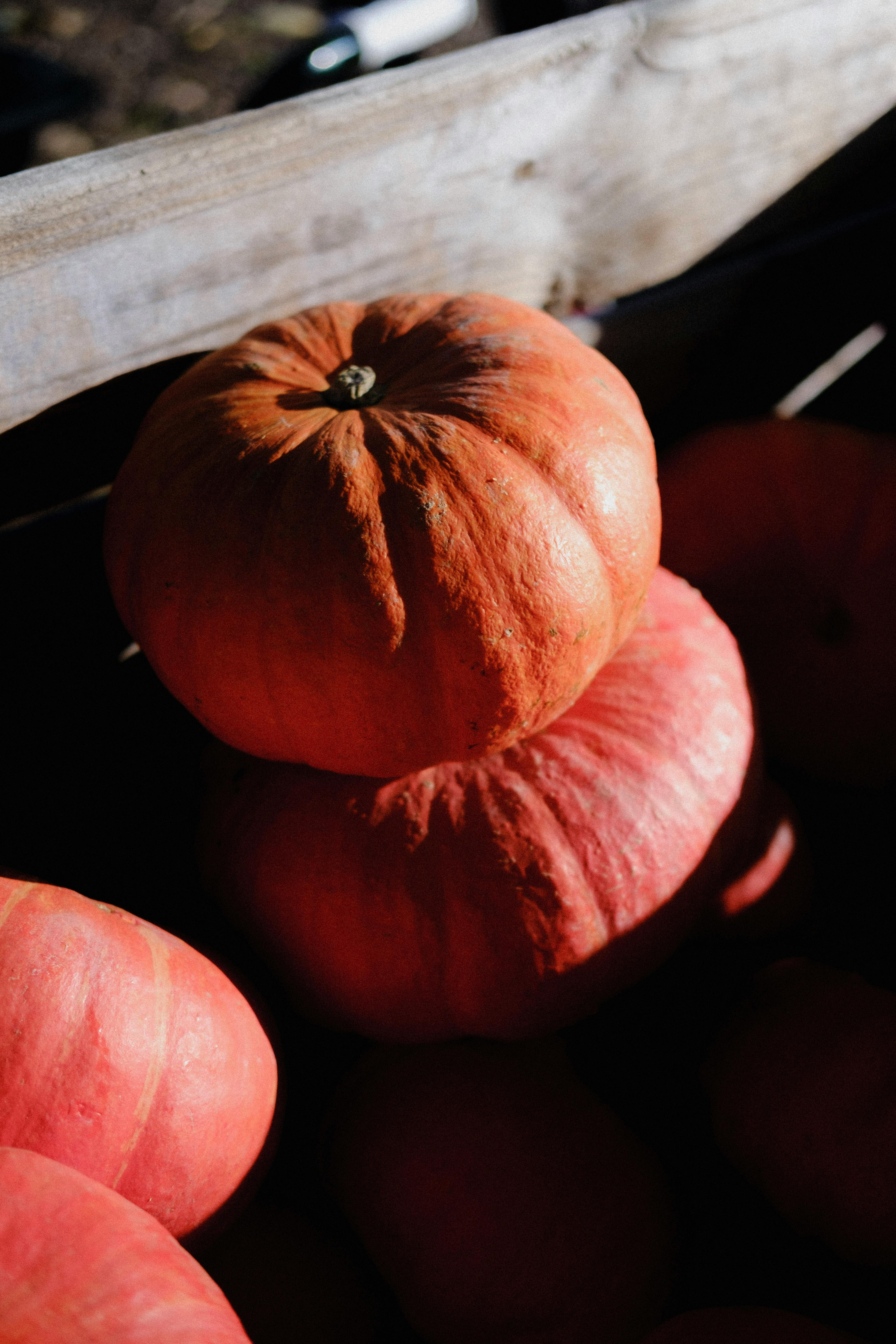 Sunlight Shining on Pumpkins in Wooden Wagon · Free Stock Photo
