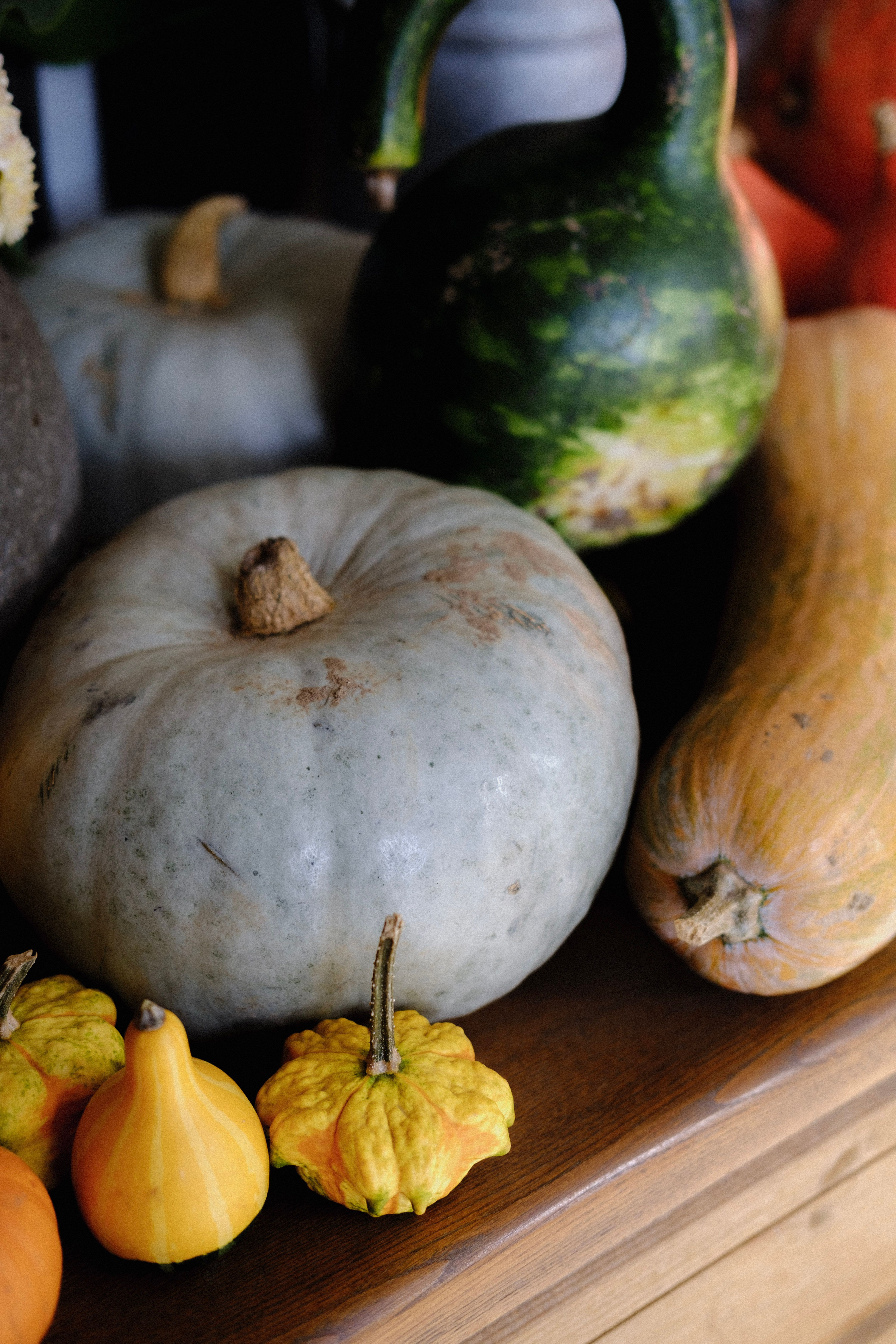 Pumpkins on Wooden Surface · Free Stock Photo