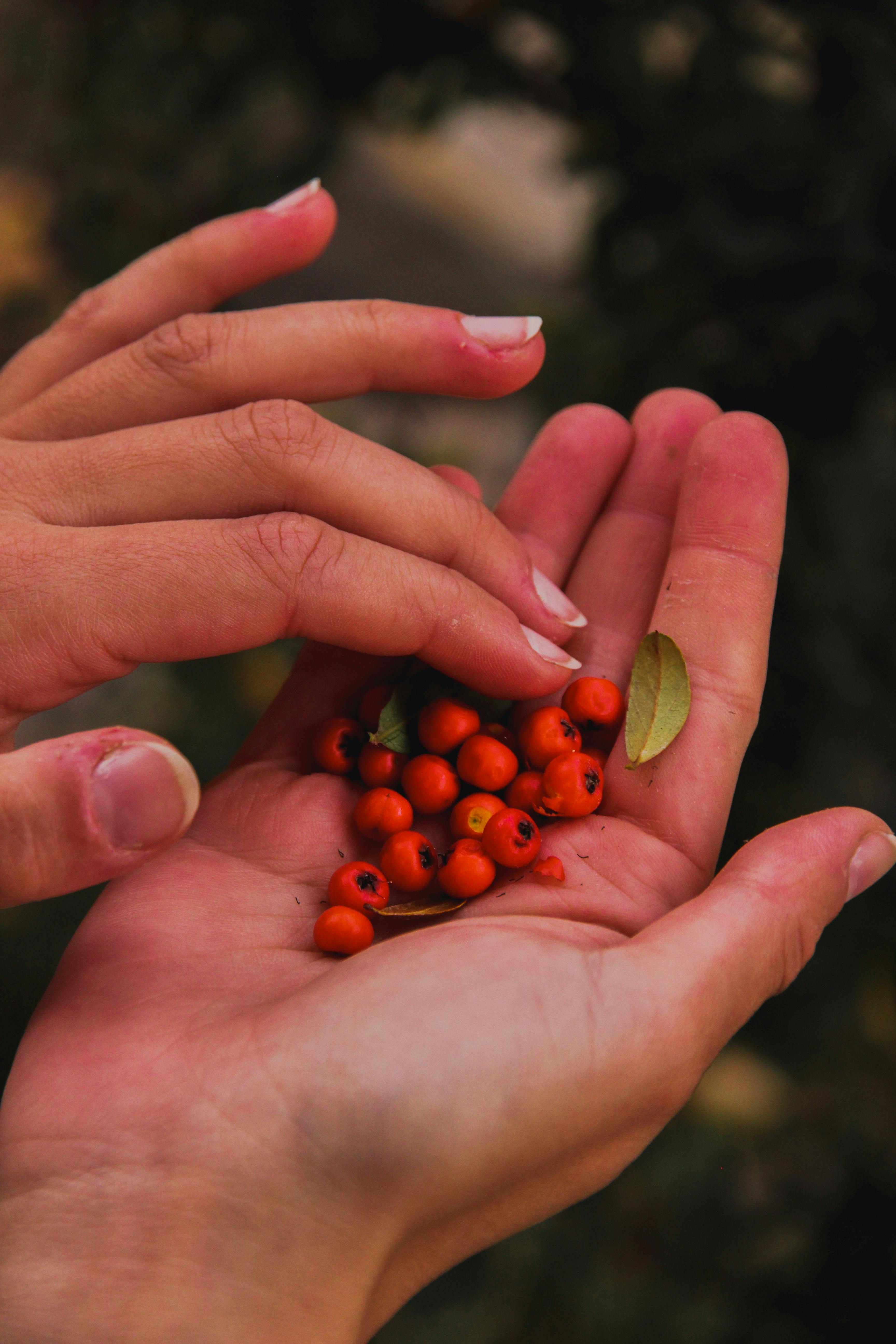 Fruits on a Persons Hand · Free Stock Photo