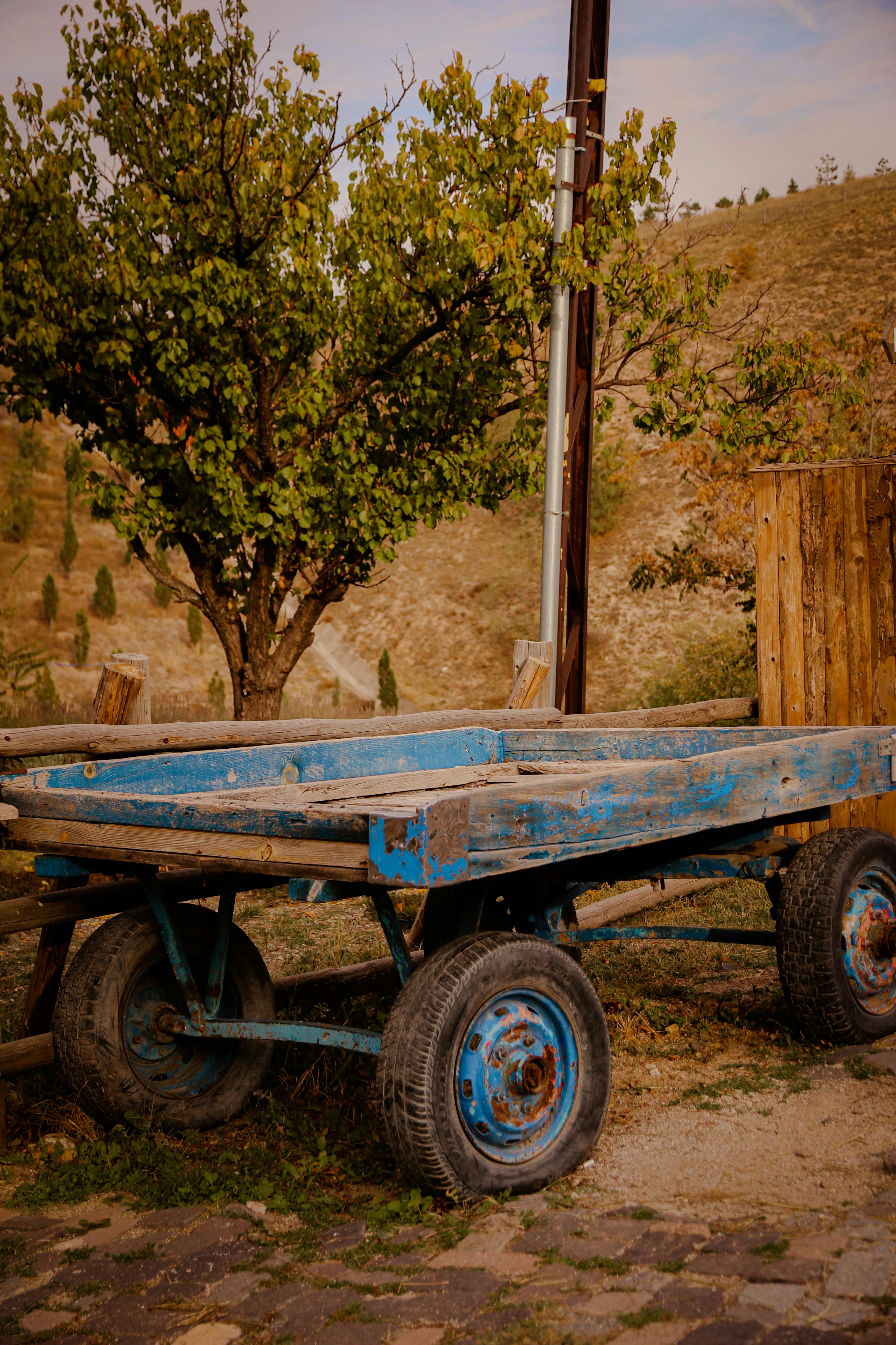 Cart in Rural Scenery · Free Stock Photo