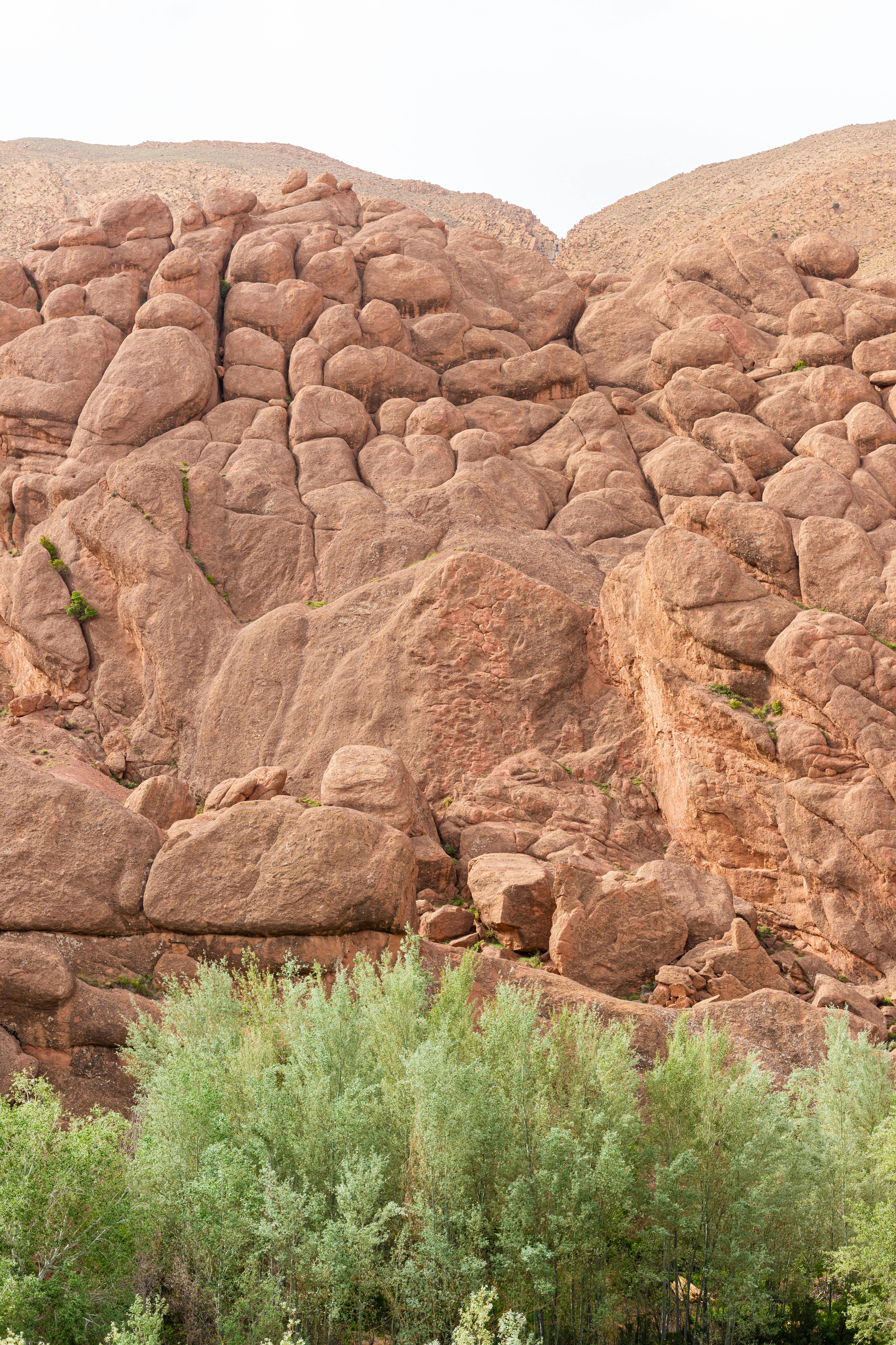 Dry Sandstone in Park · Free Stock Photo