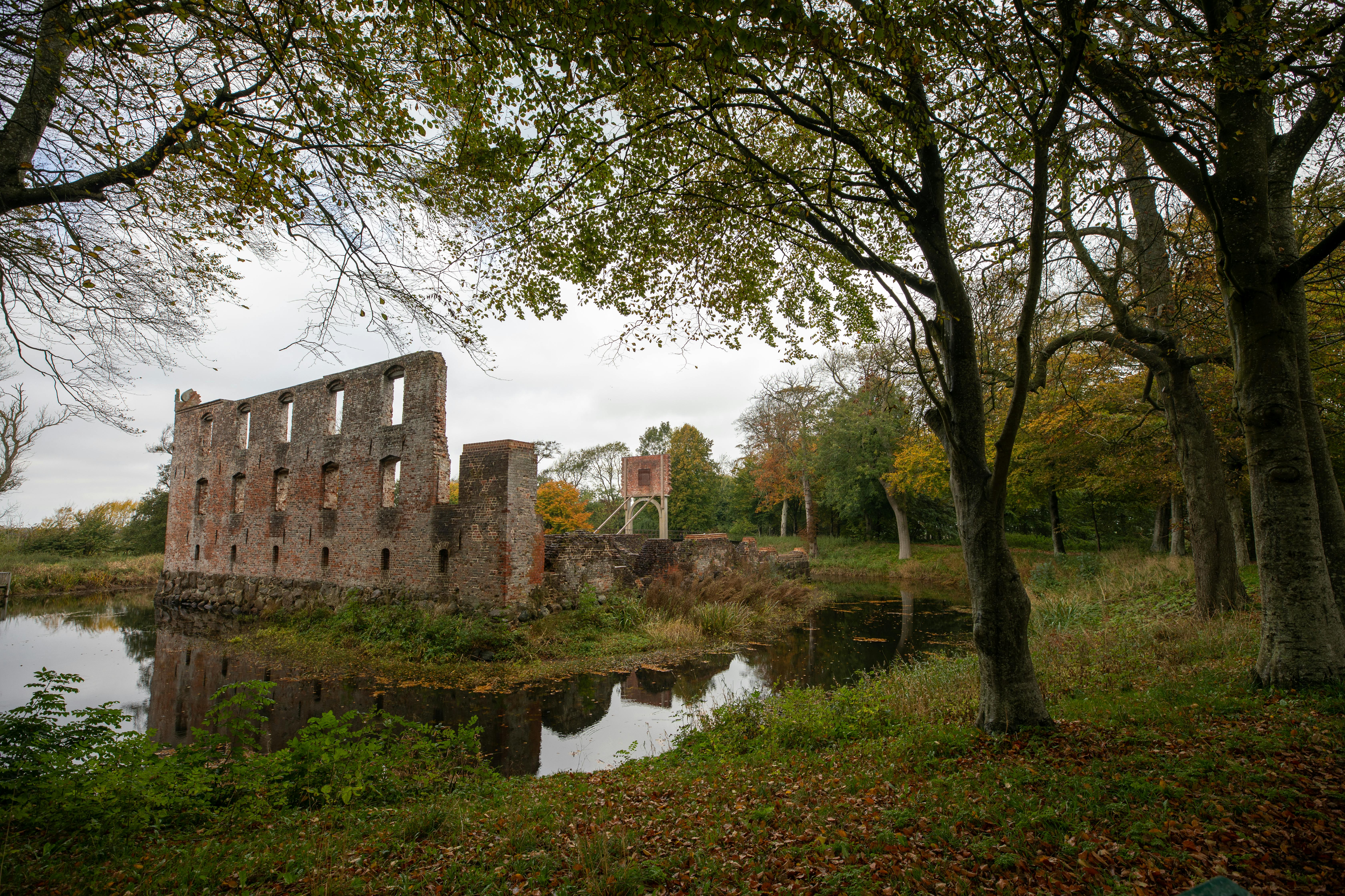 Pond around Building Ruins · Free Stock Photo