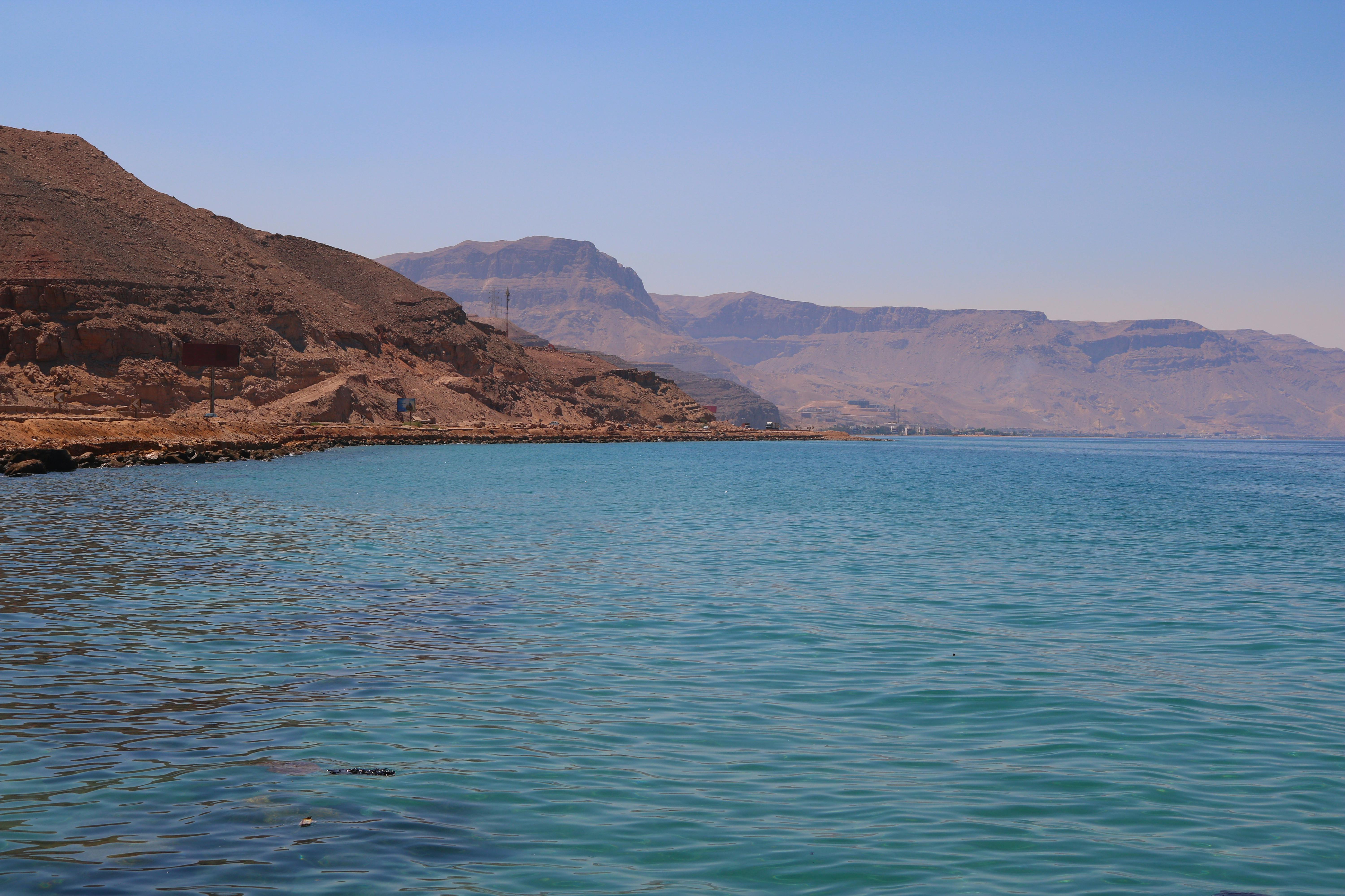 Sara Mustafa - 사진