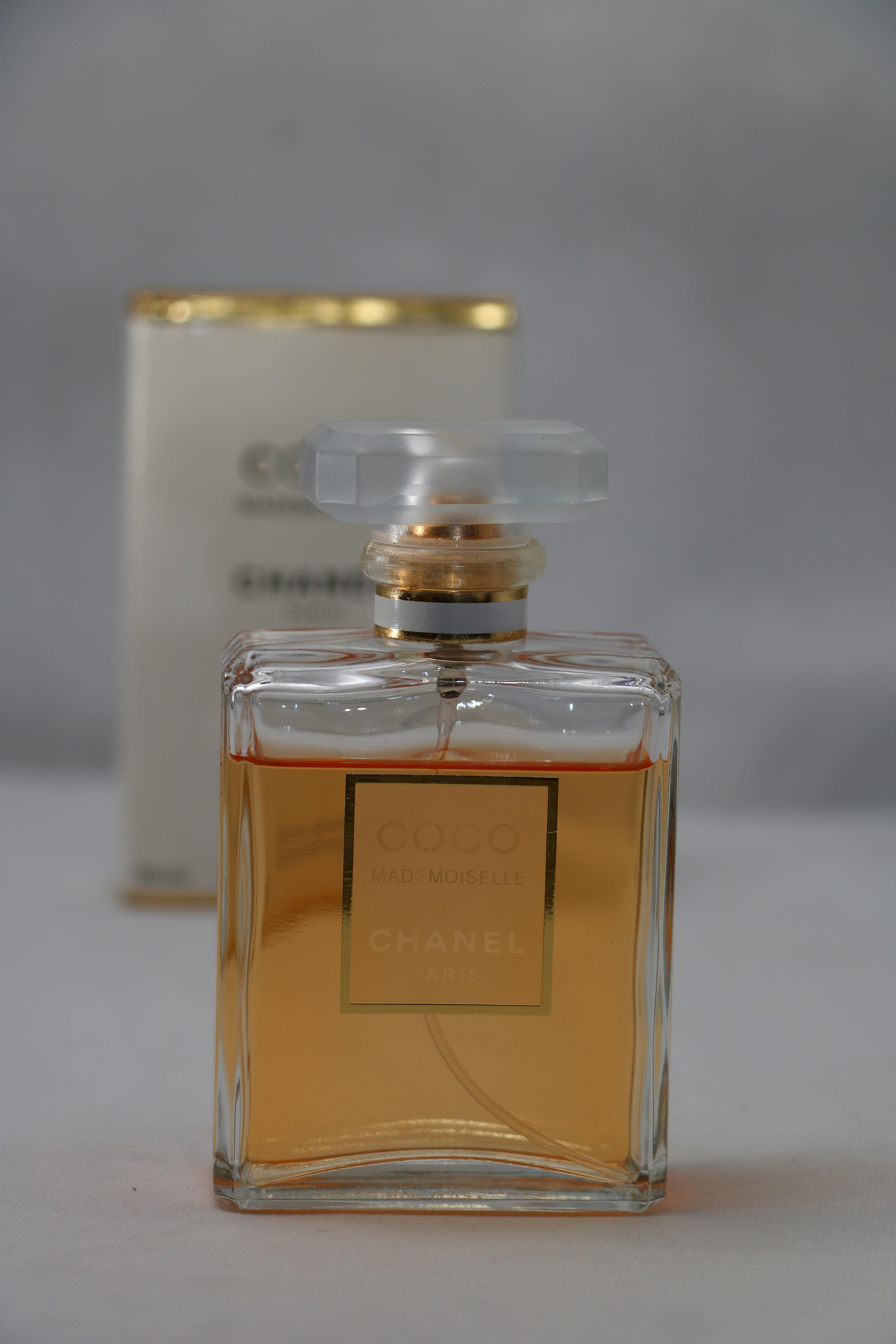 Sara Mustafa - 사진