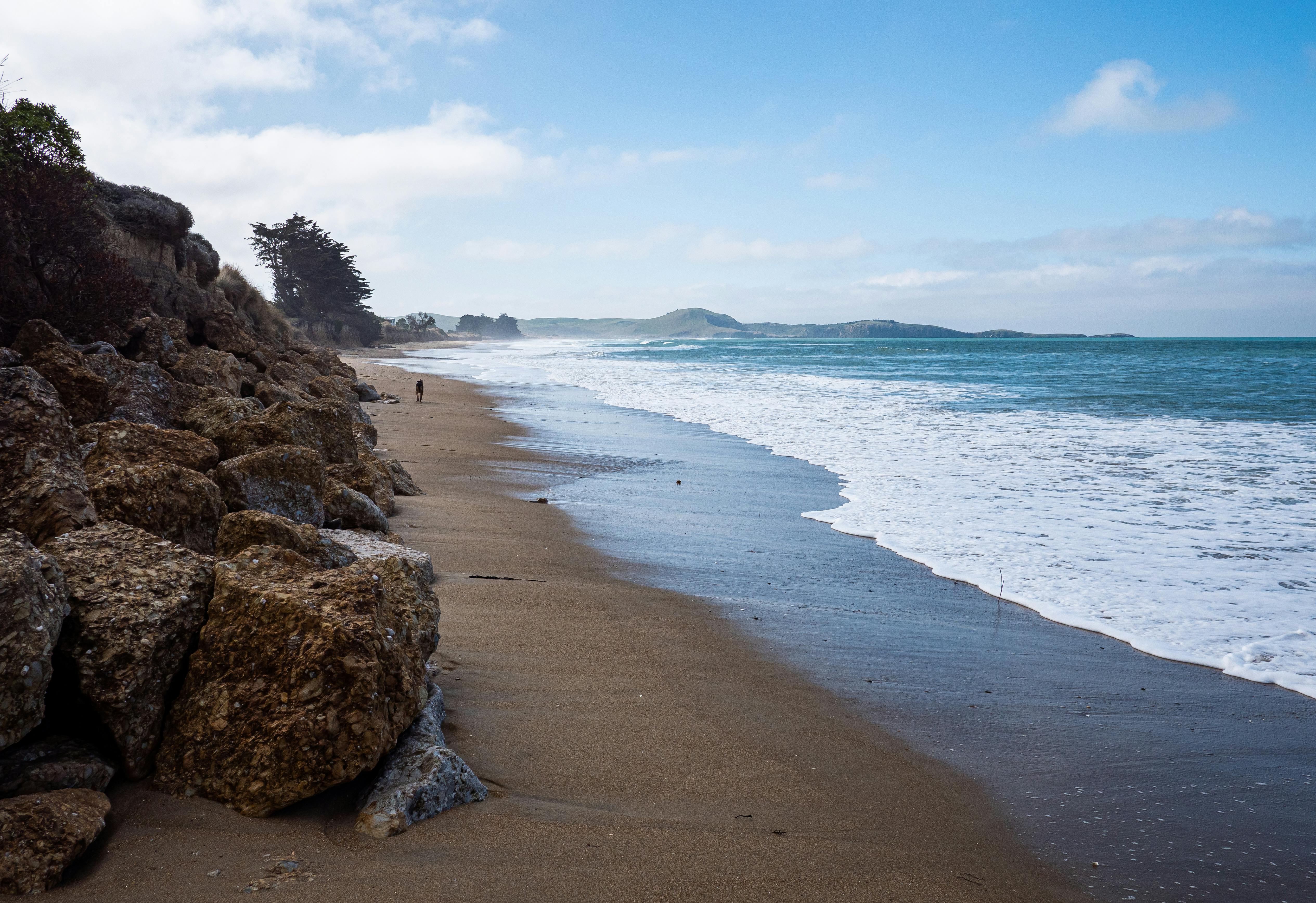 Ocean Wave Scenery · Free Stock Photo