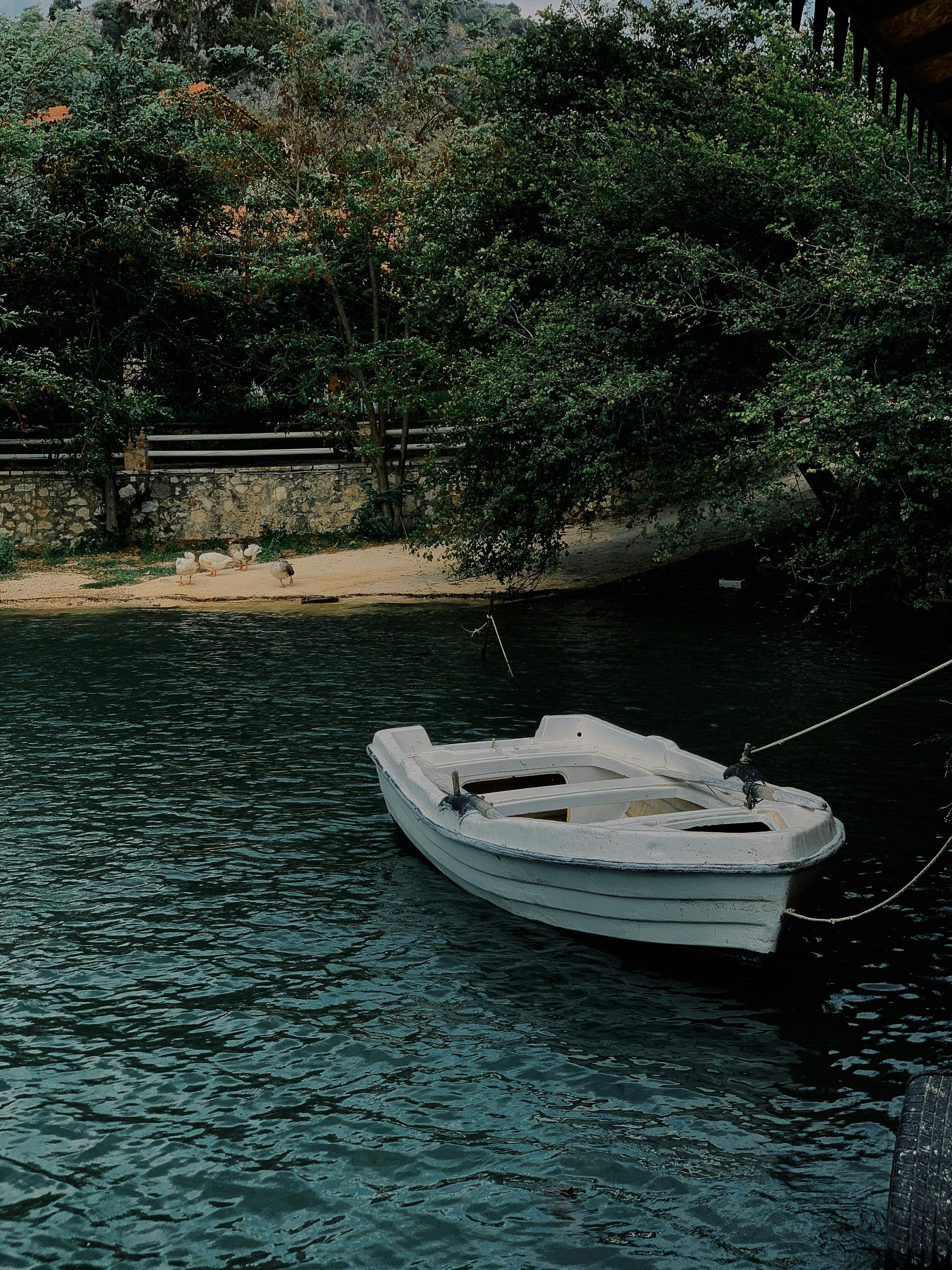 Foto de stock gratuita sobre a orillas del lago, barca, bote de remos ...