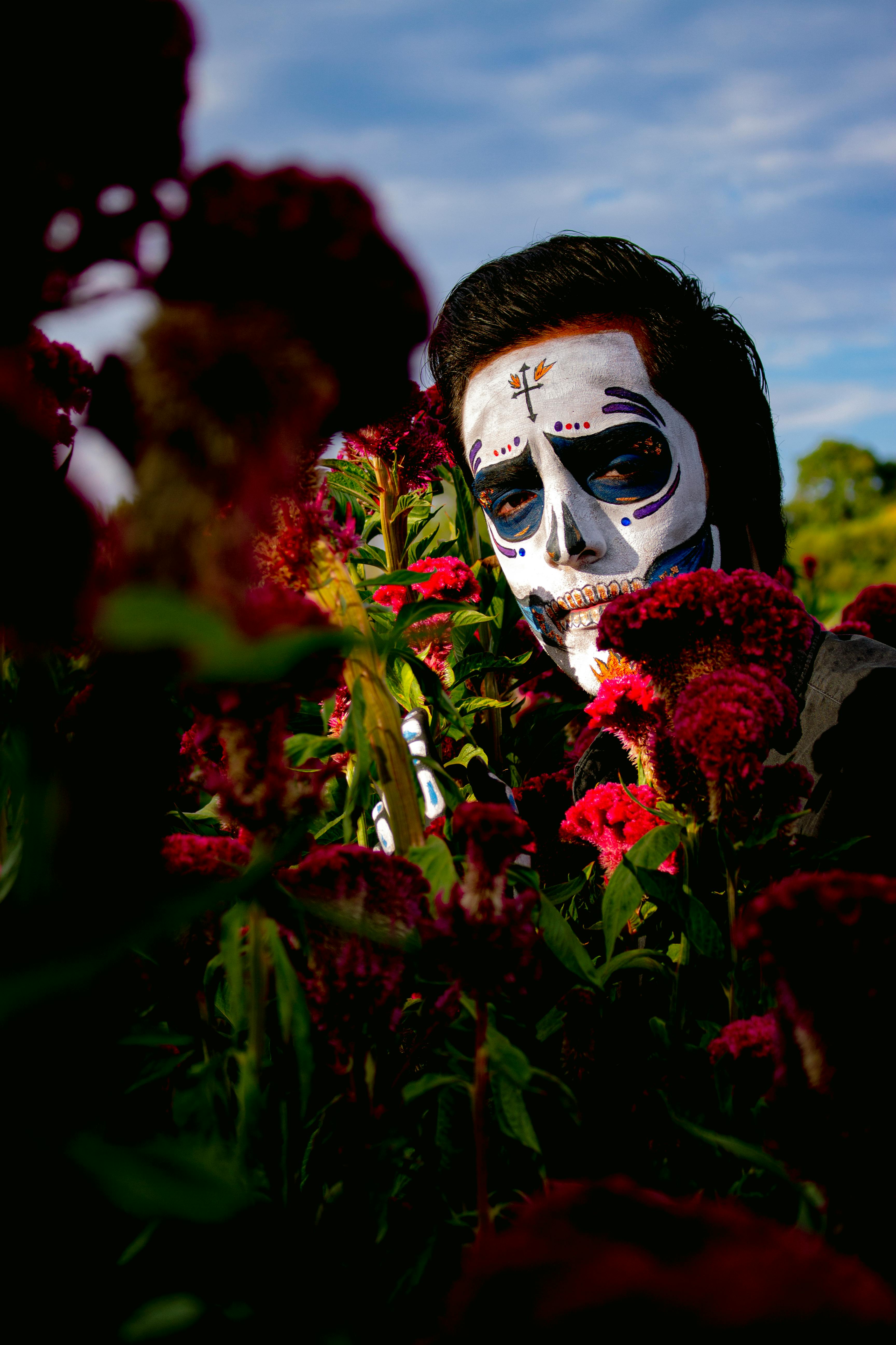 Catrines Photos, Download The BEST Free Catrines Stock Photos & HD Images