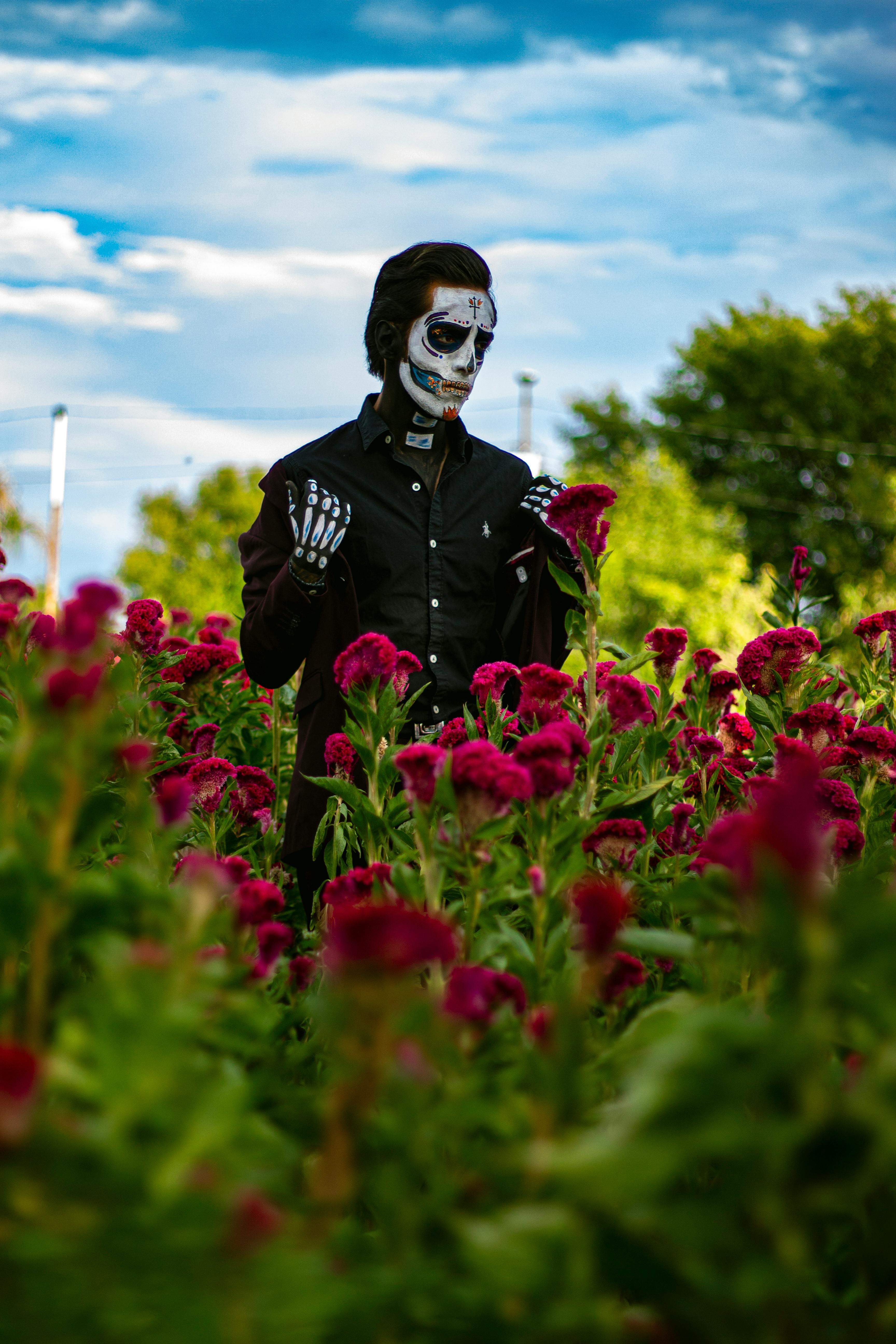 Catrín Photos, Download The BEST Free Catrín Stock Photos & HD Images