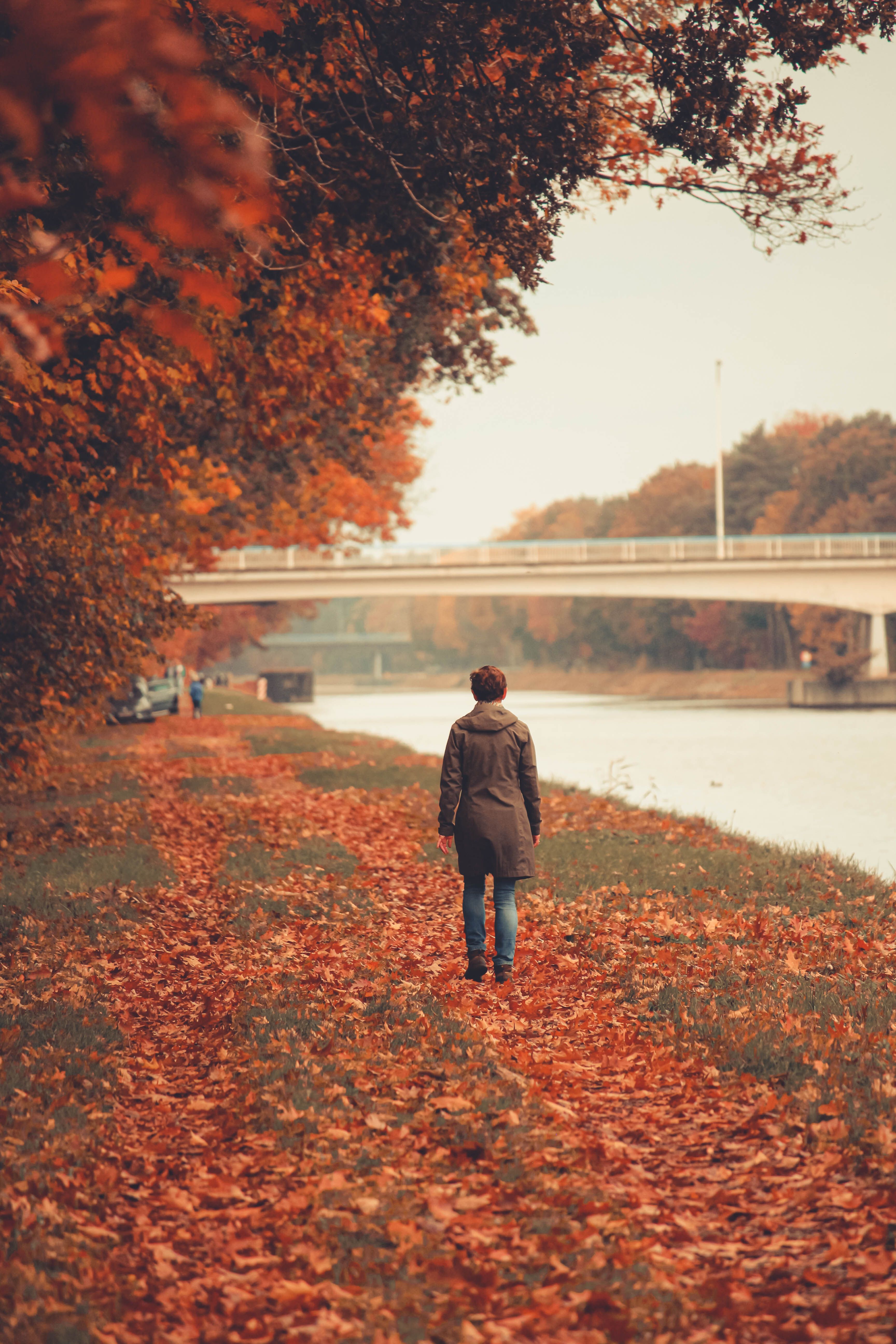 Girl Walking in Forest · Free Stock Photo