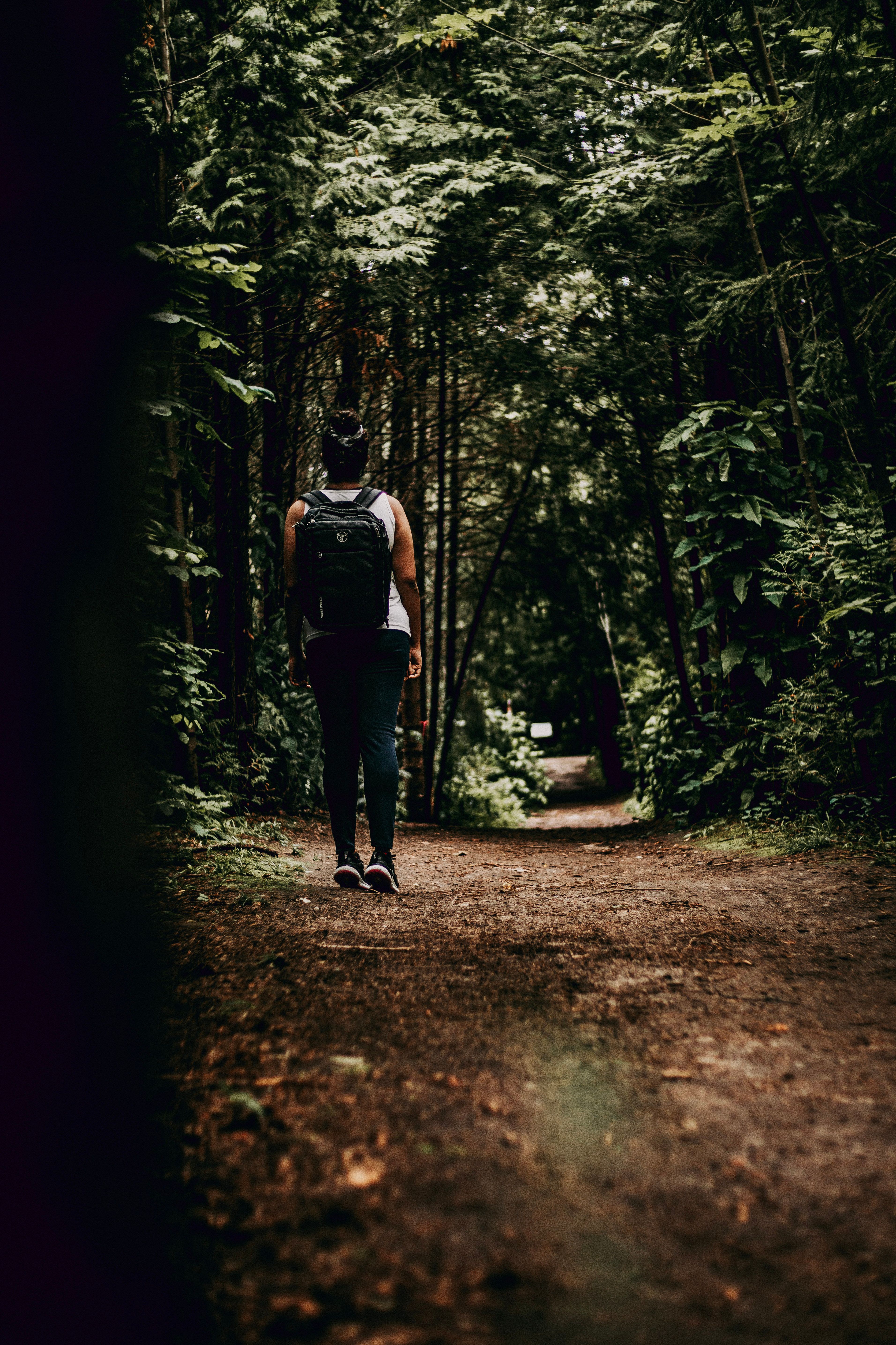 Person Walking on Unpaved Pathway · Free Stock Photo