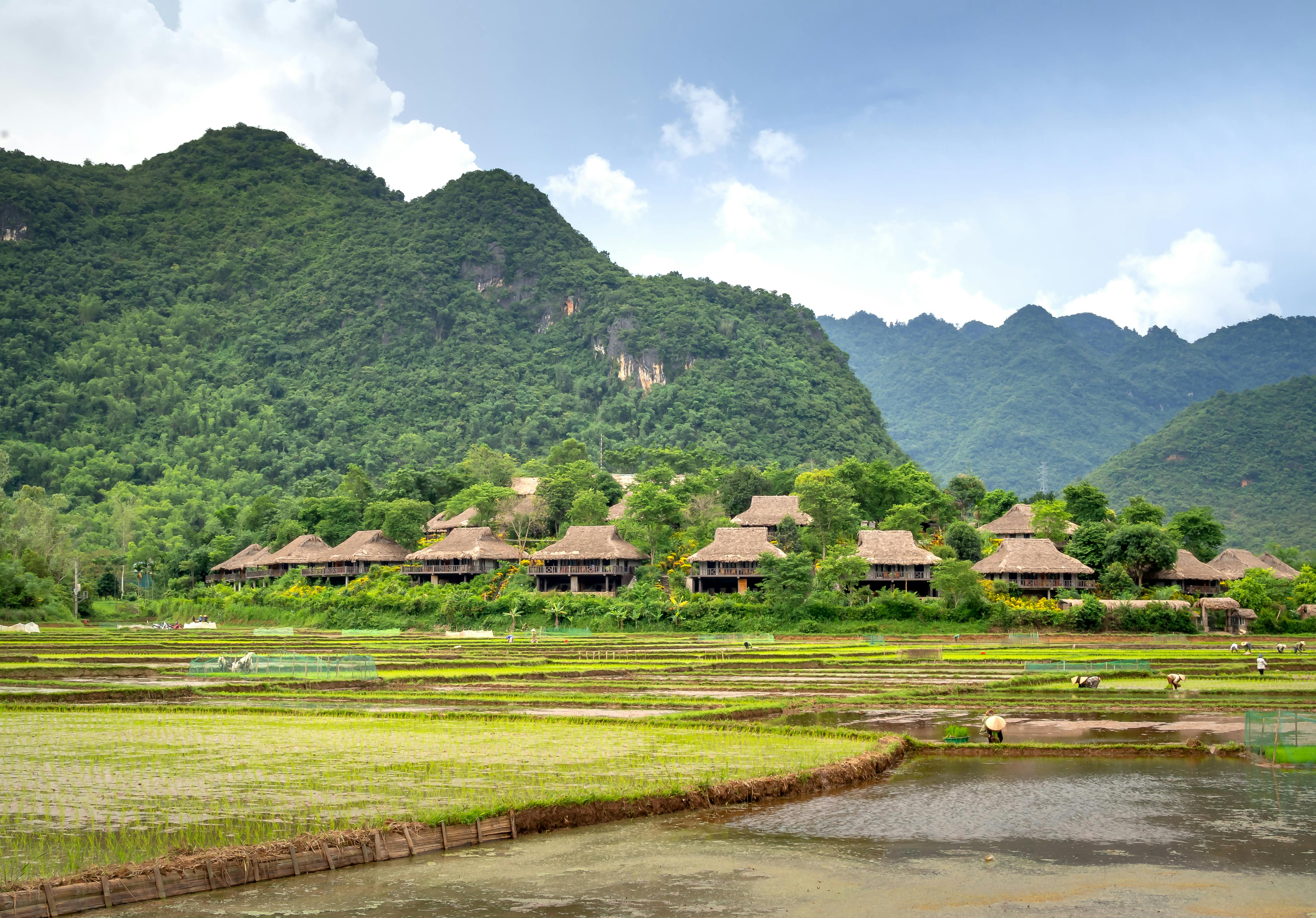 Houses near the Mountain · Free Stock Photo