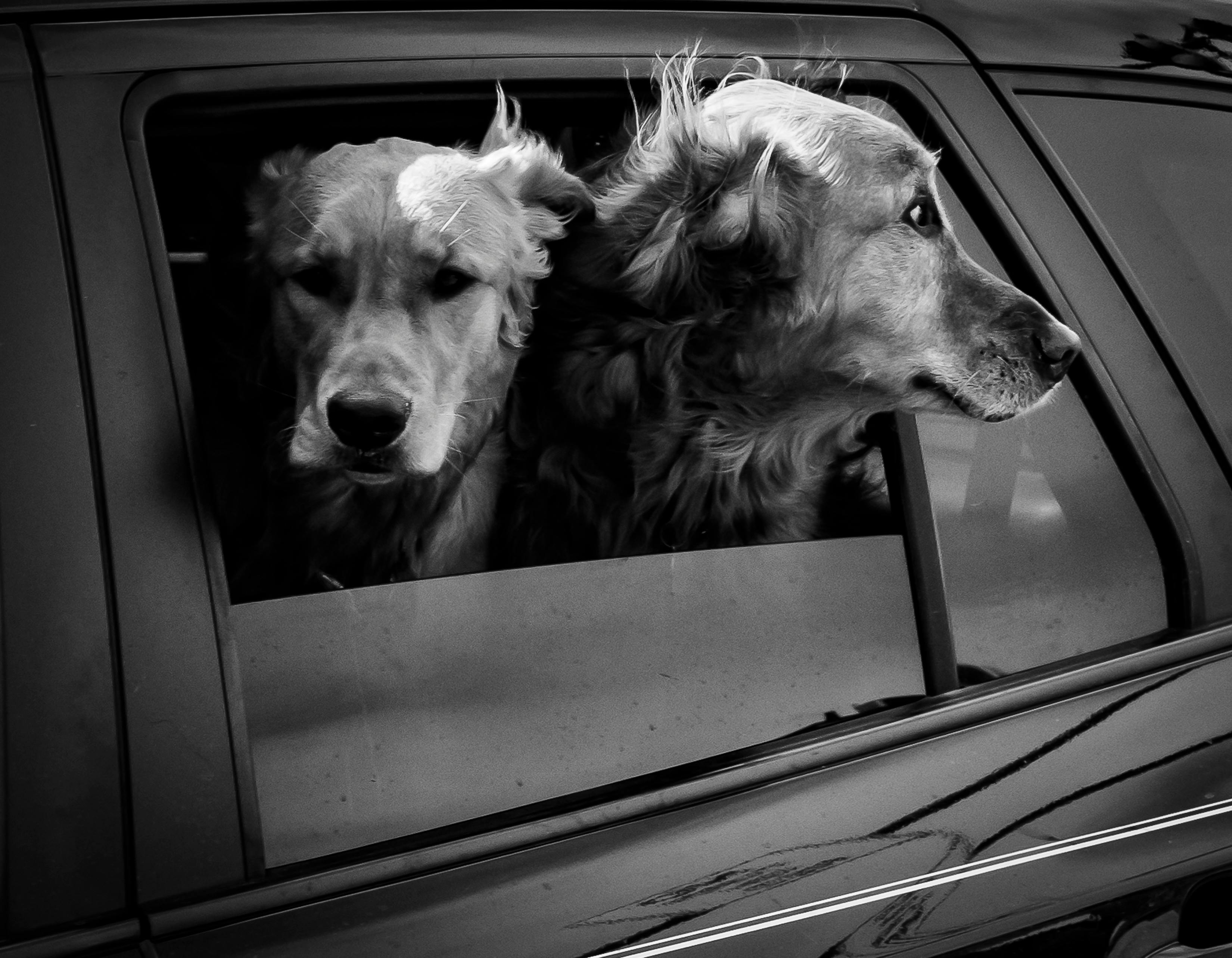 Kostnadsfri bild av Sol, strand hög upplösning