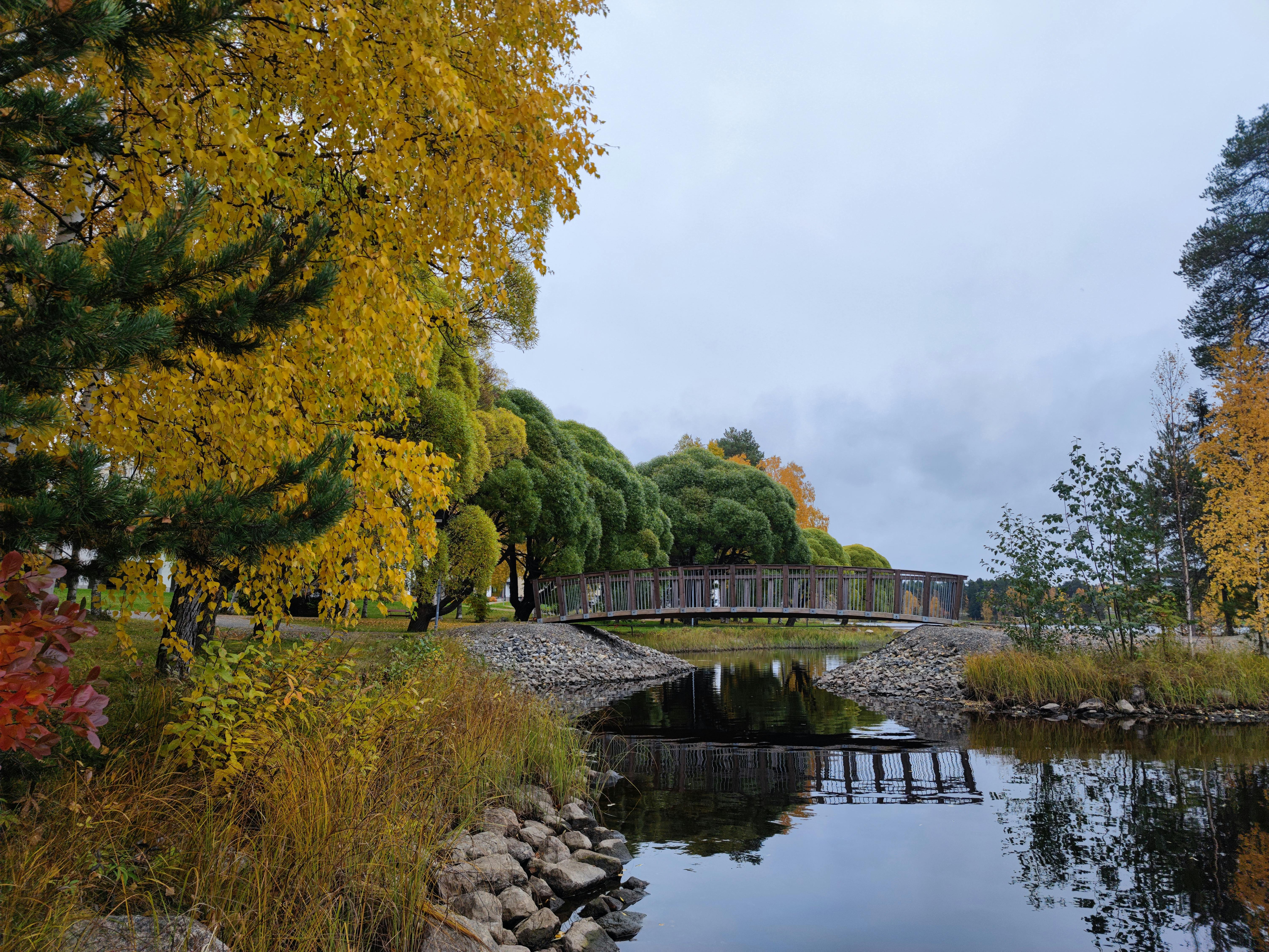 Footbridge over Pond in Autumn · Free Stock Photo