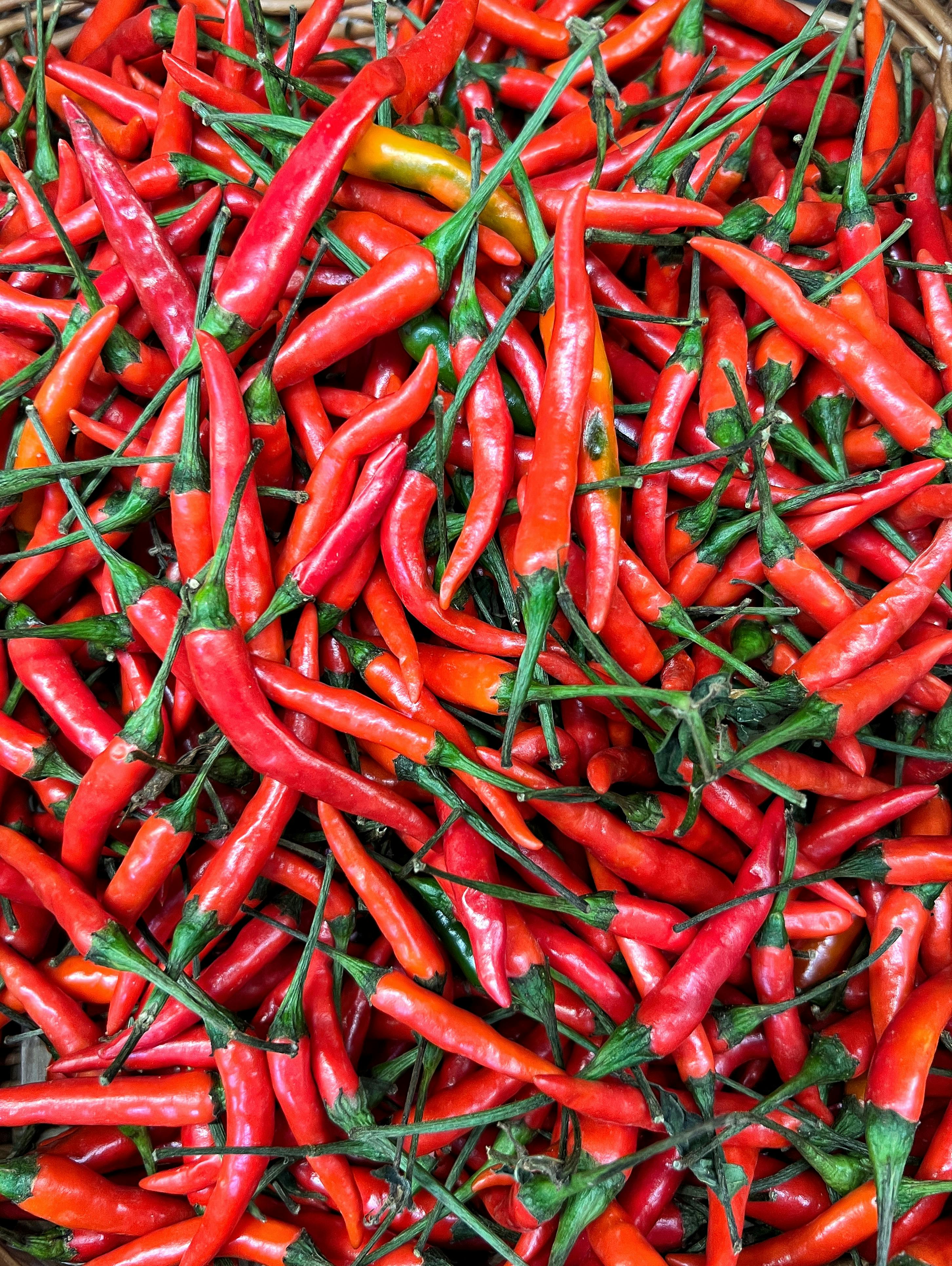 Cool Pepper Photos, Download The BEST Free Cool Pepper Stock Photos ...