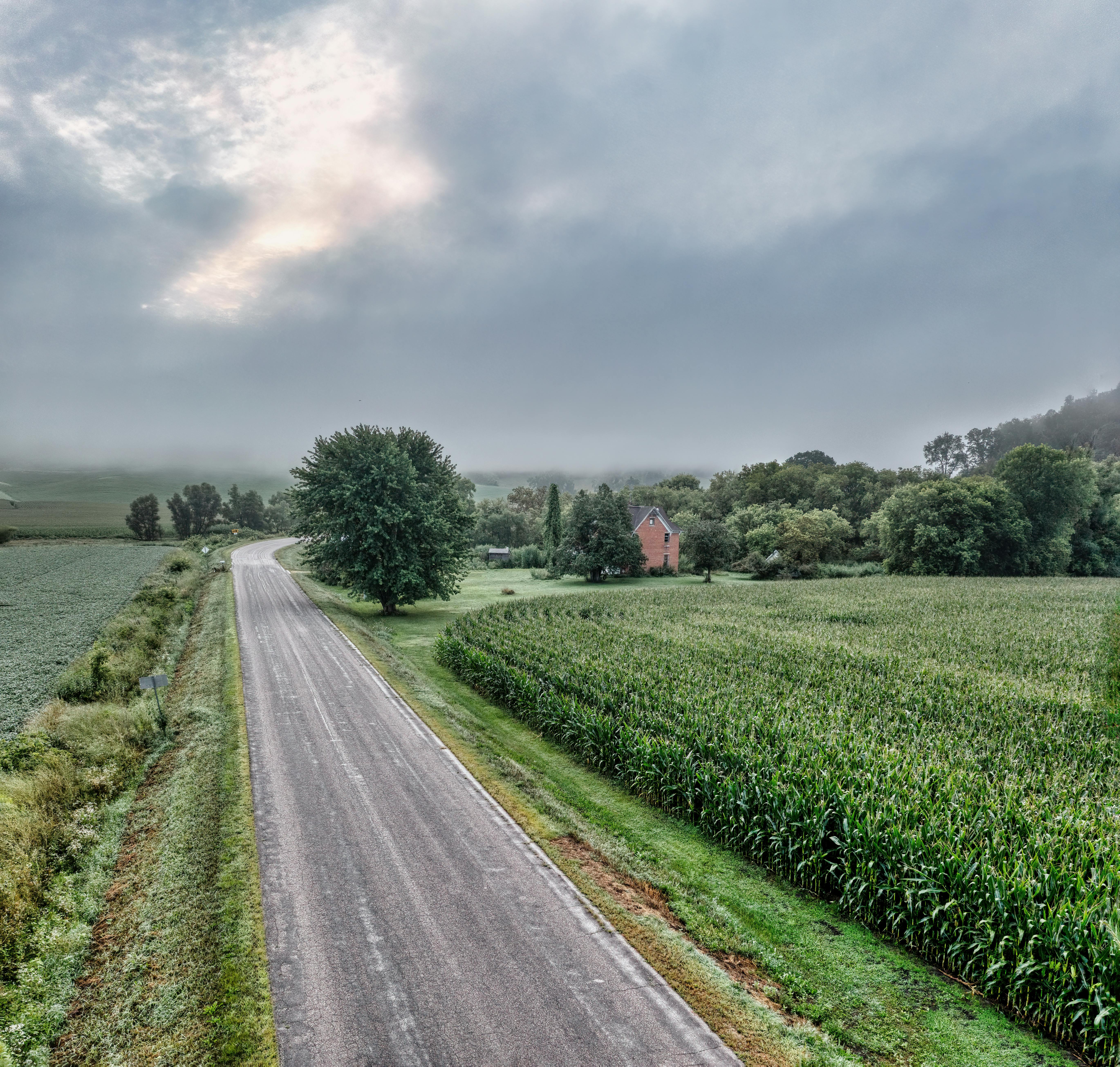 A Pathway on a Farm Land Under Gray Sky · Free Stock Photo