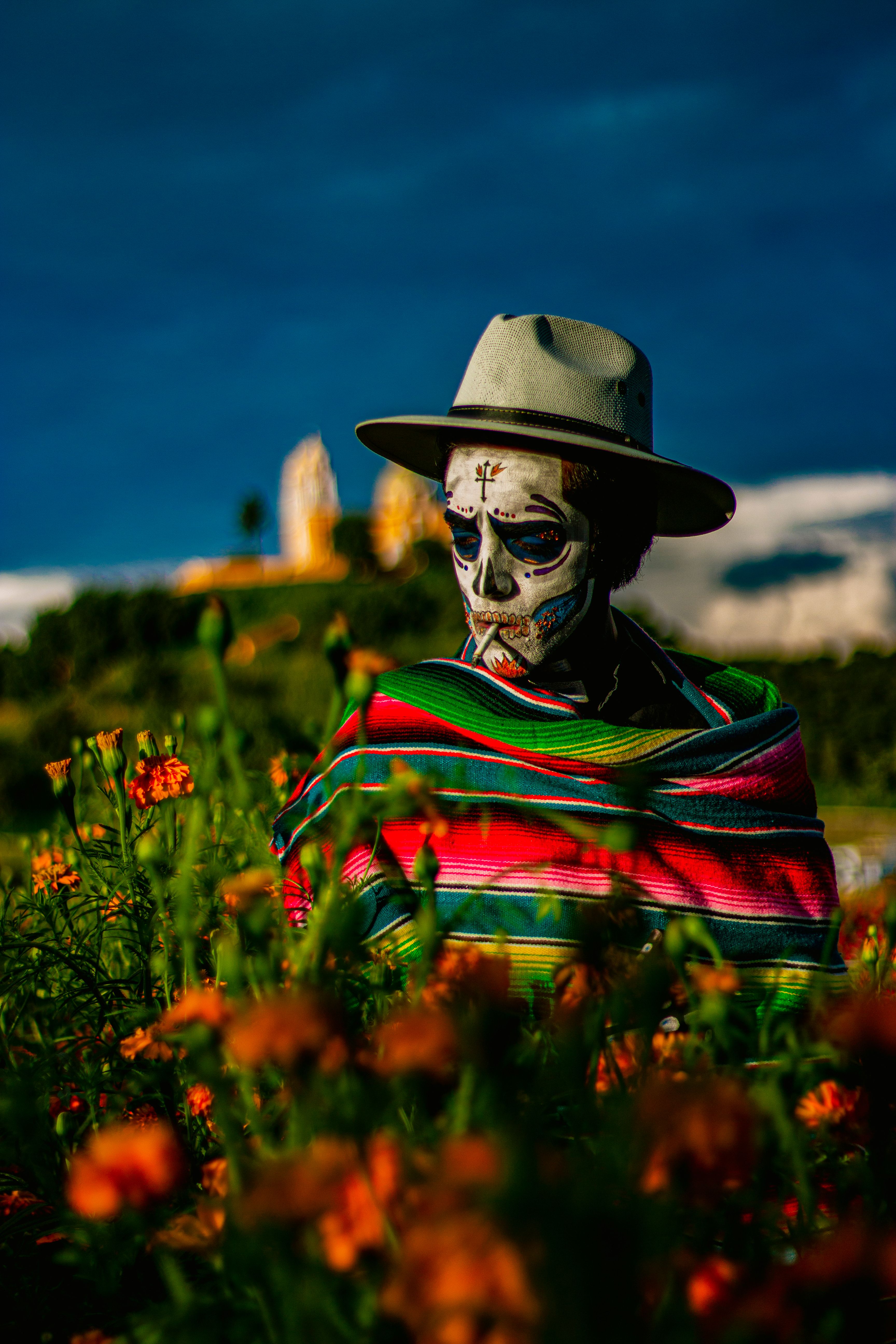 Haloween Photos, Download The BEST Free Haloween Stock Photos & HD Images