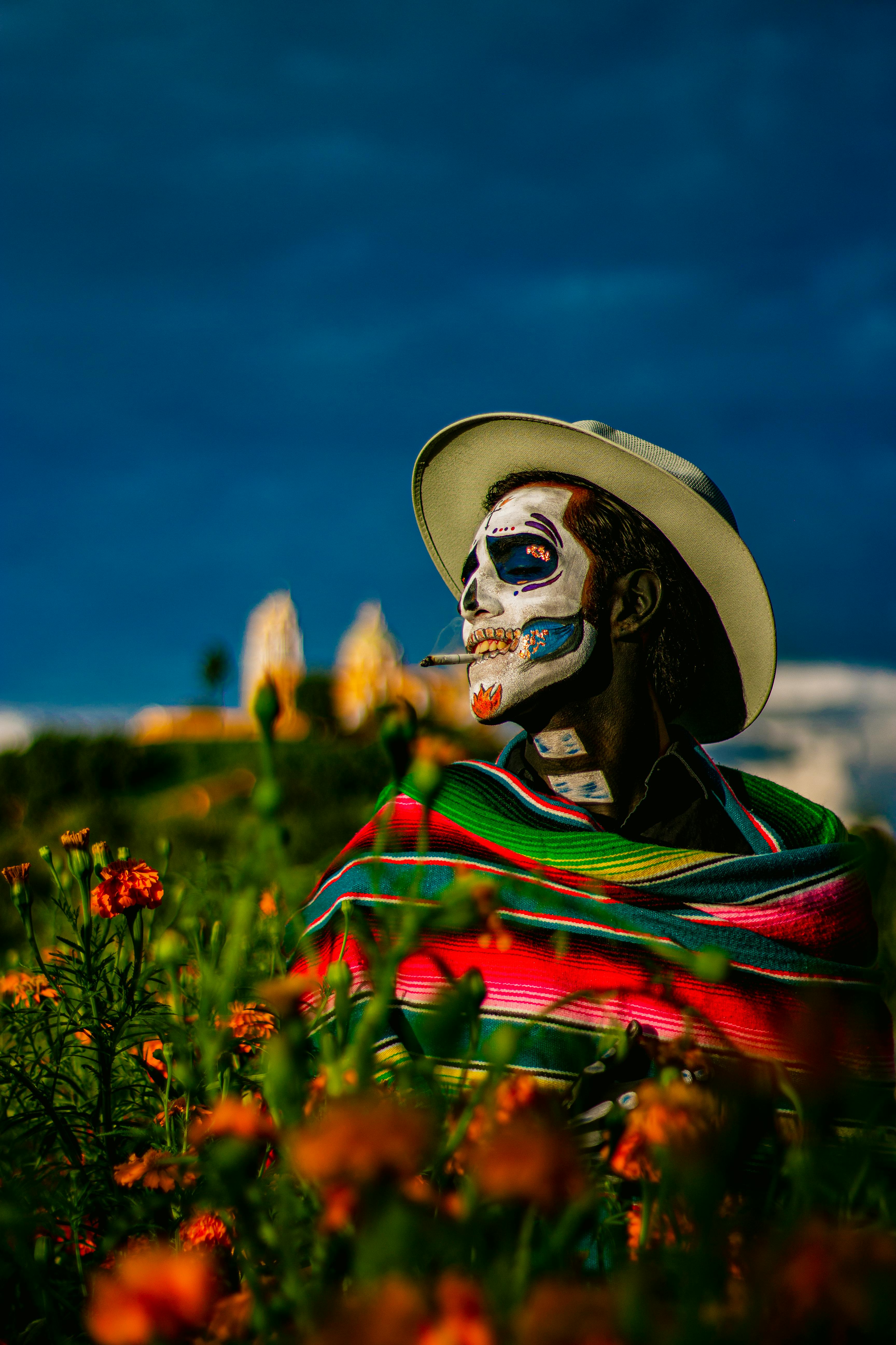 A Catrin in a Flower Field · Free Stock Photo