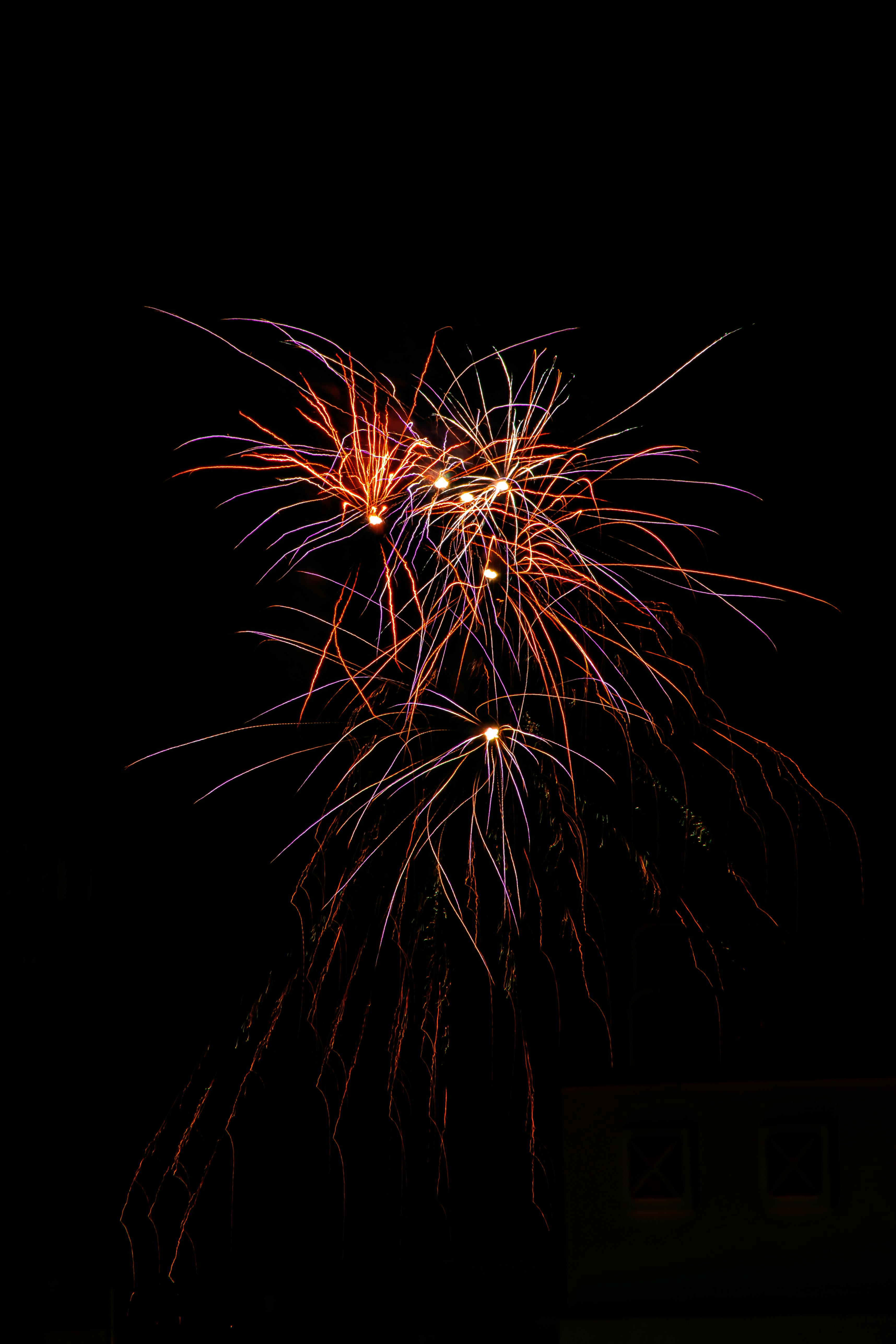 Low-angle Photo of Fireworks · Free Stock Photo