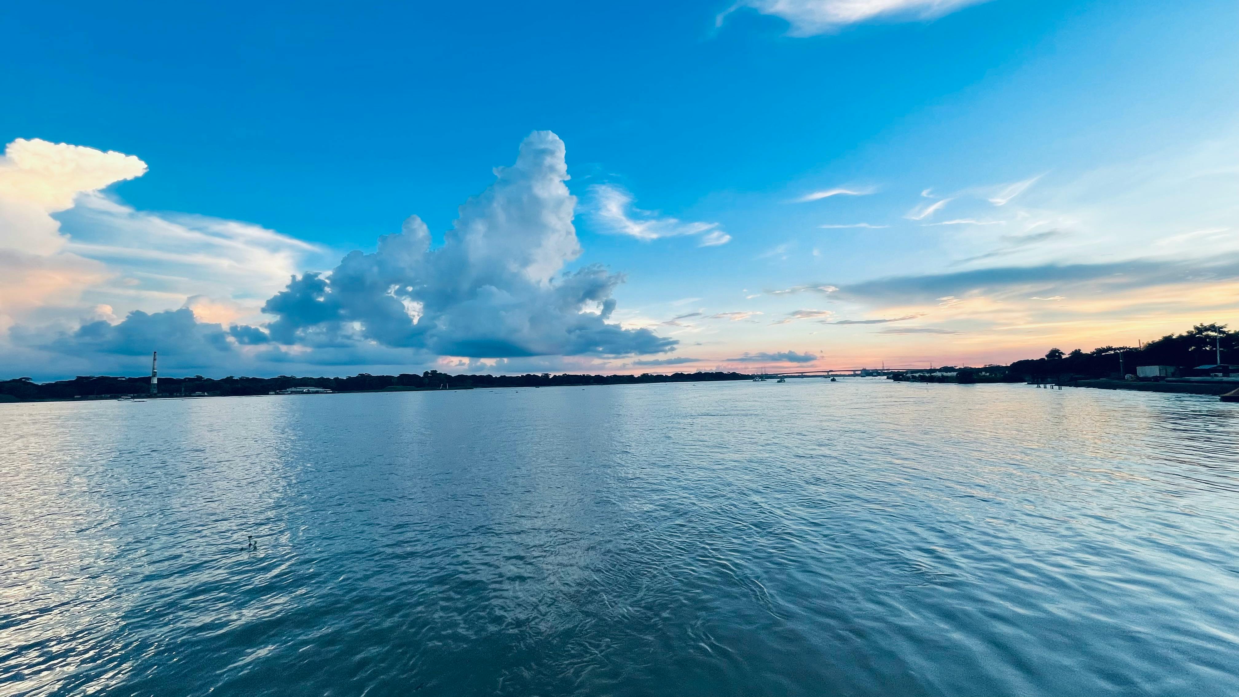 Imran Molla - 写真