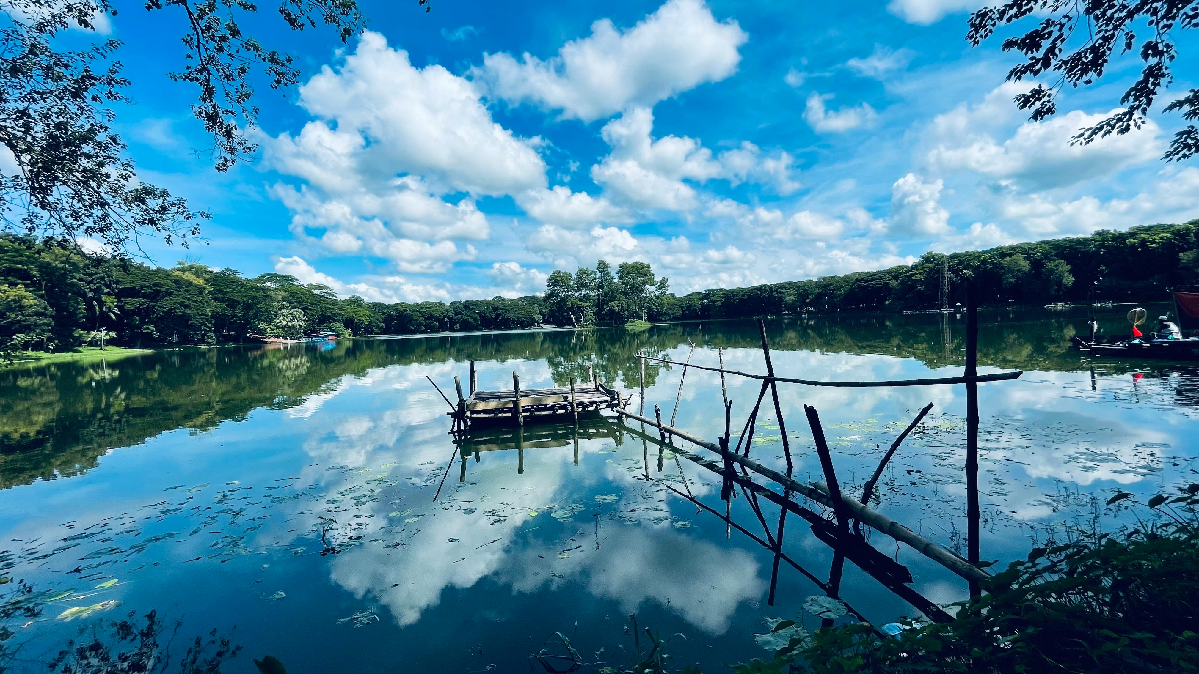 Imran Molla - 写真