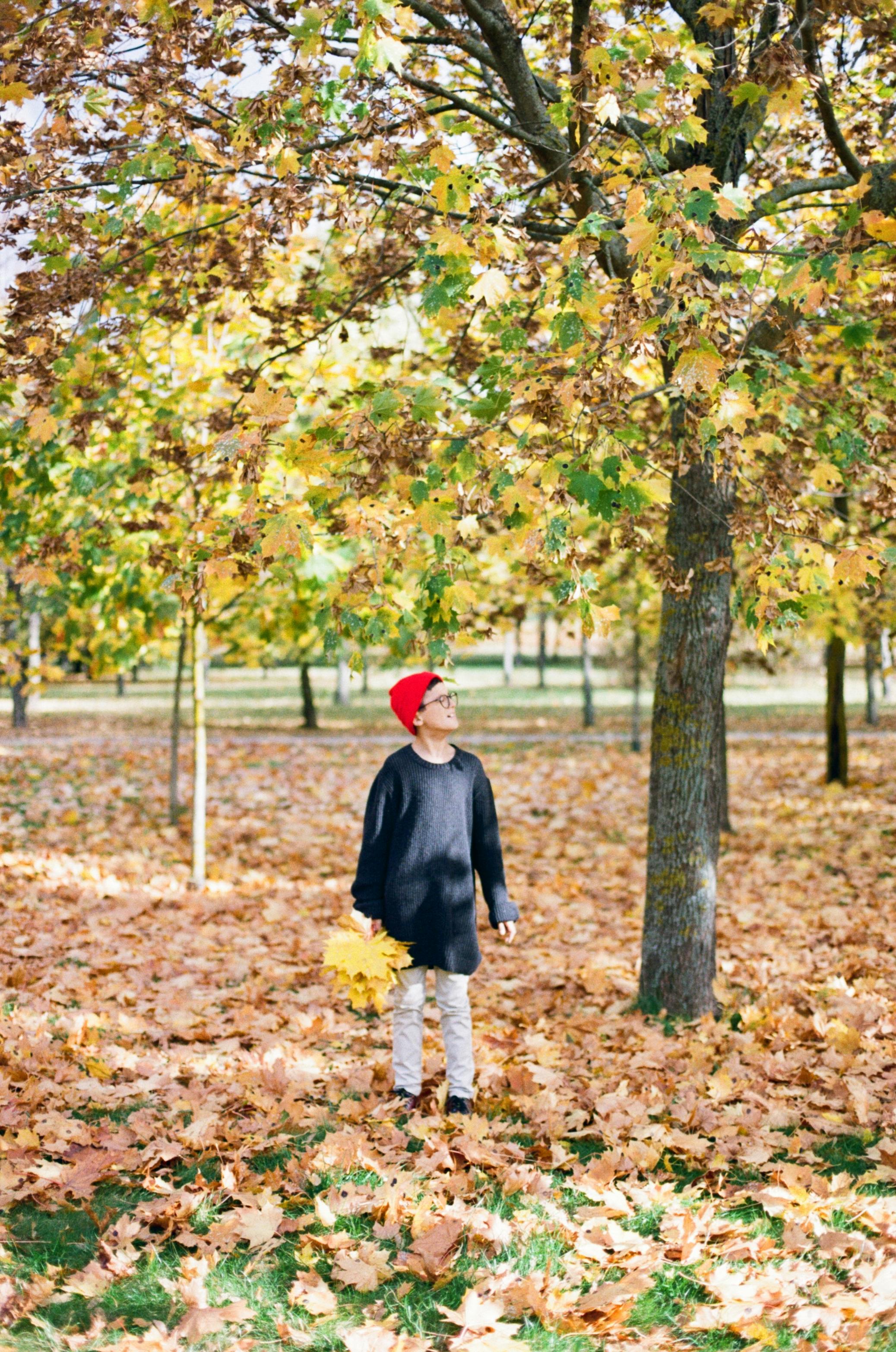 Boy Standing under Tree at Park in Autumn · Free Stock Photo