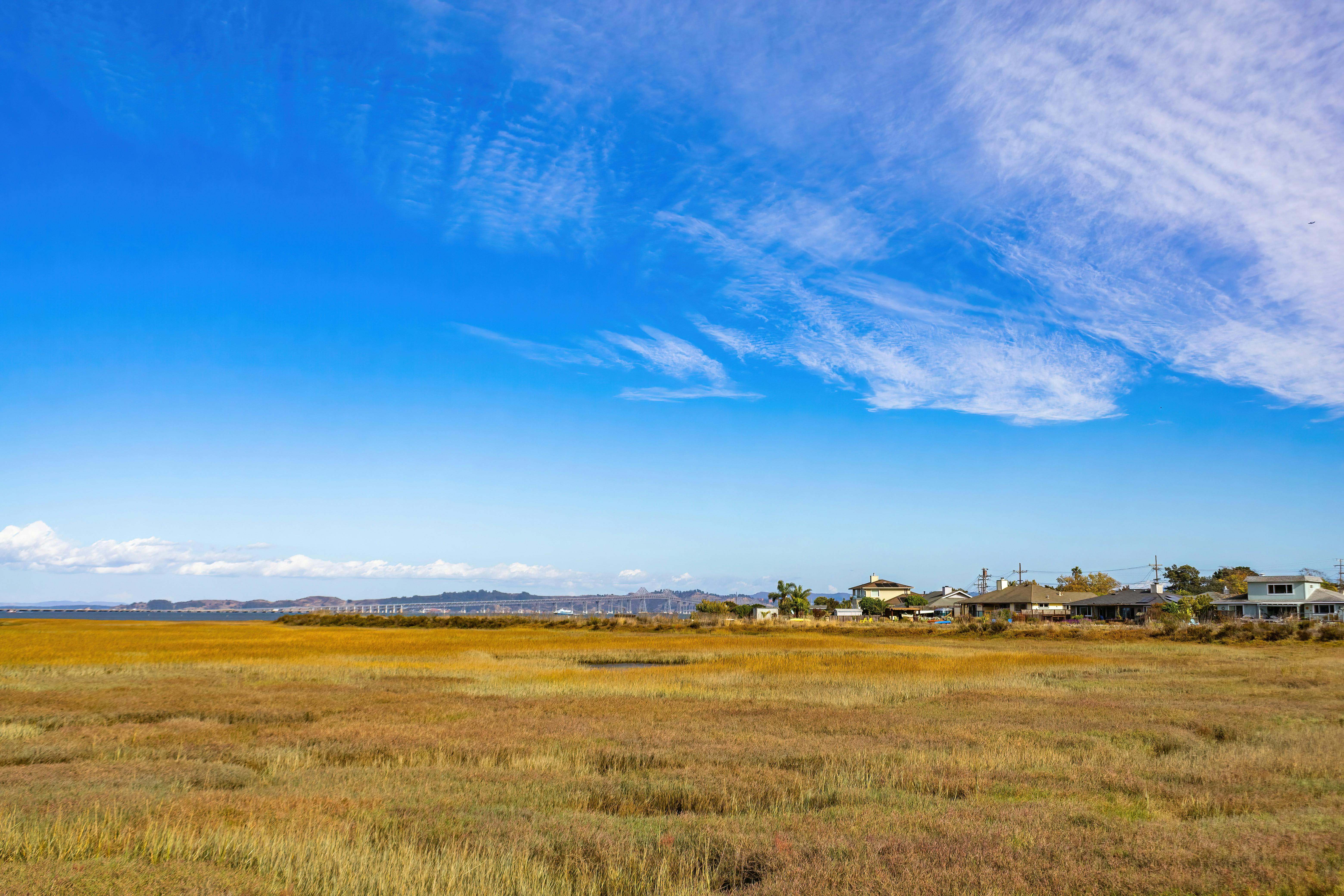 A Grass Field Under the Blue Sky · Free Stock Photo