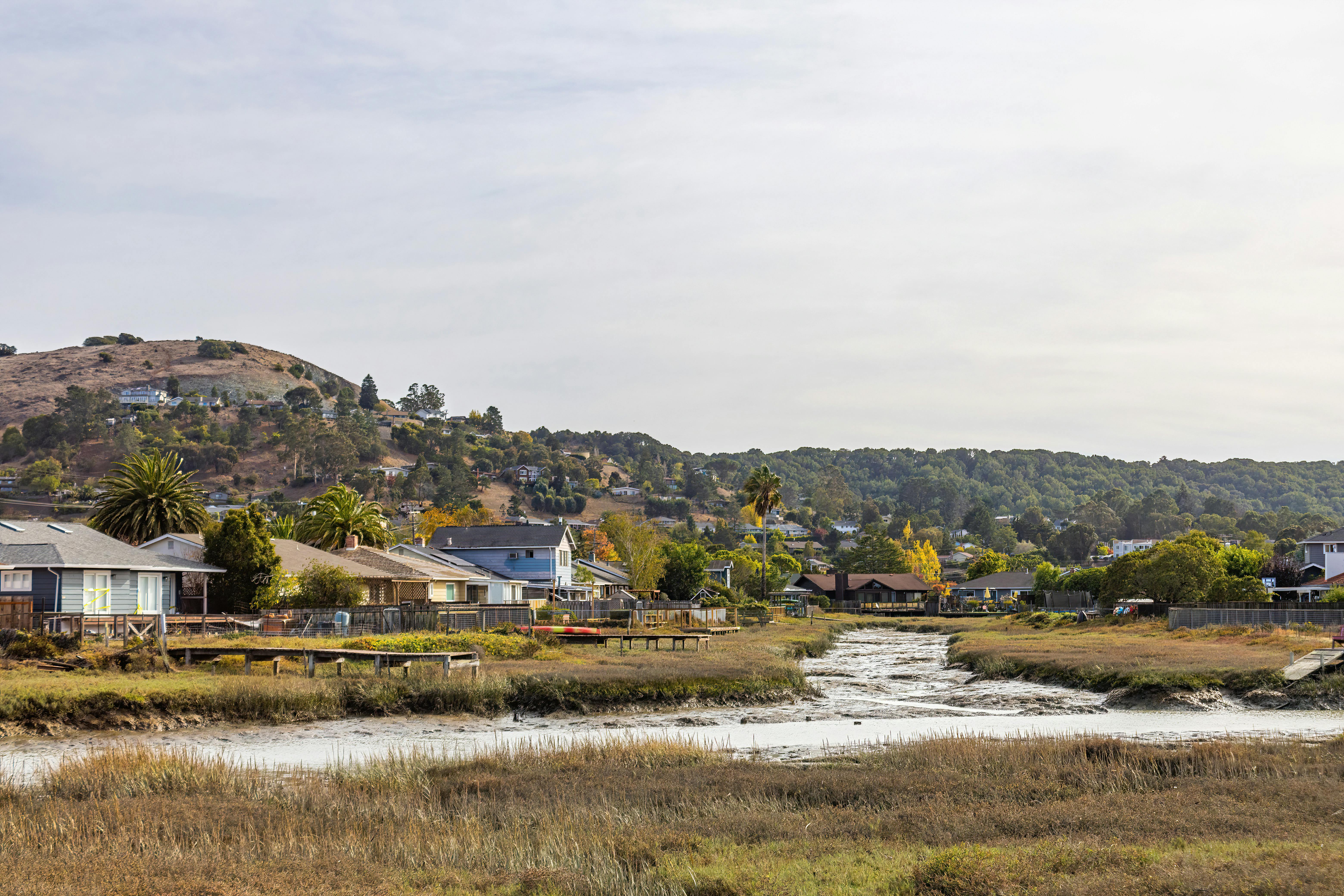 A River Between Grass Field Near the Houses · Free Stock Photo