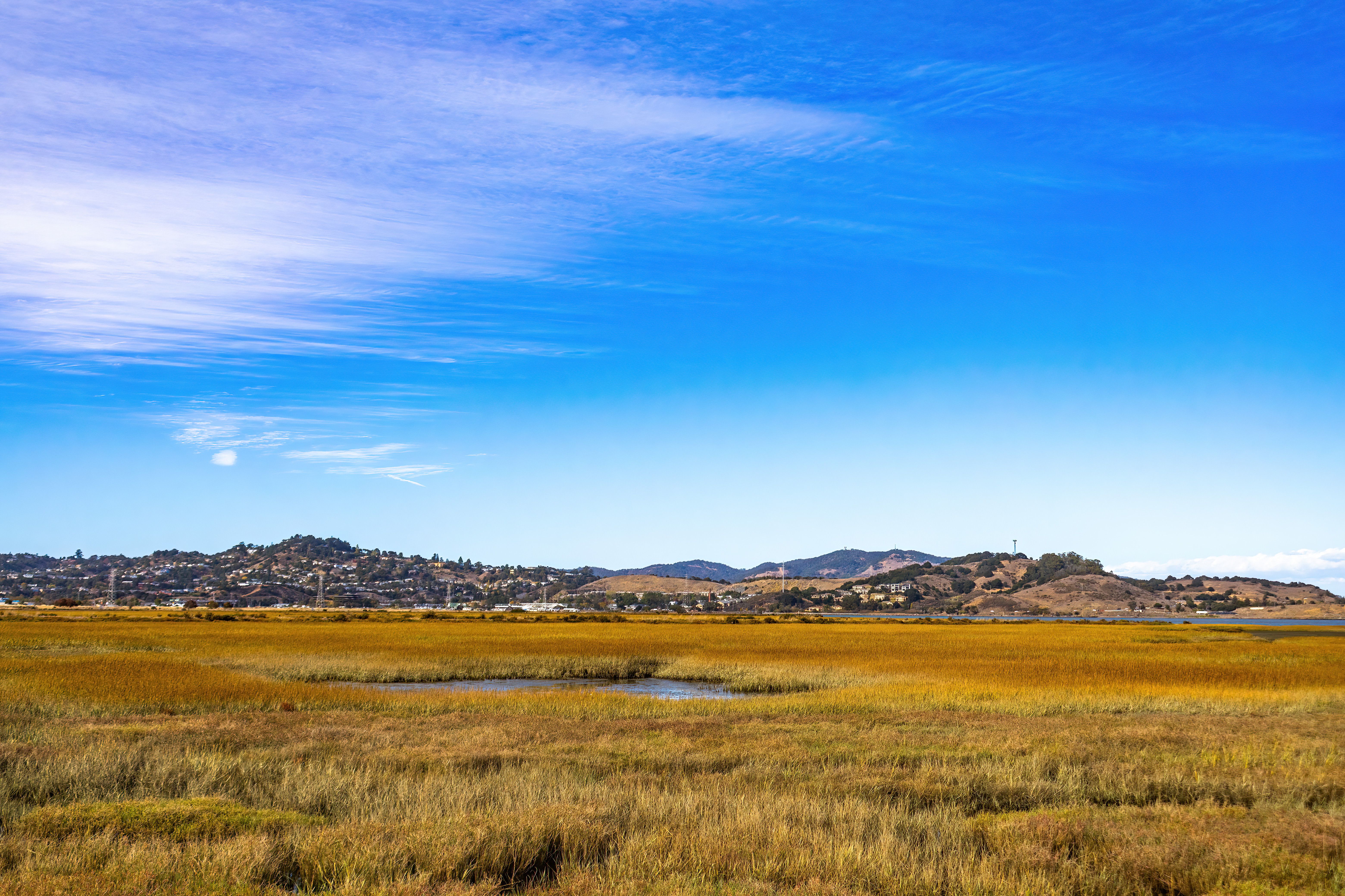 A Green Grass Field Near the Mountain Under the Blue Sky · Free Stock Photo