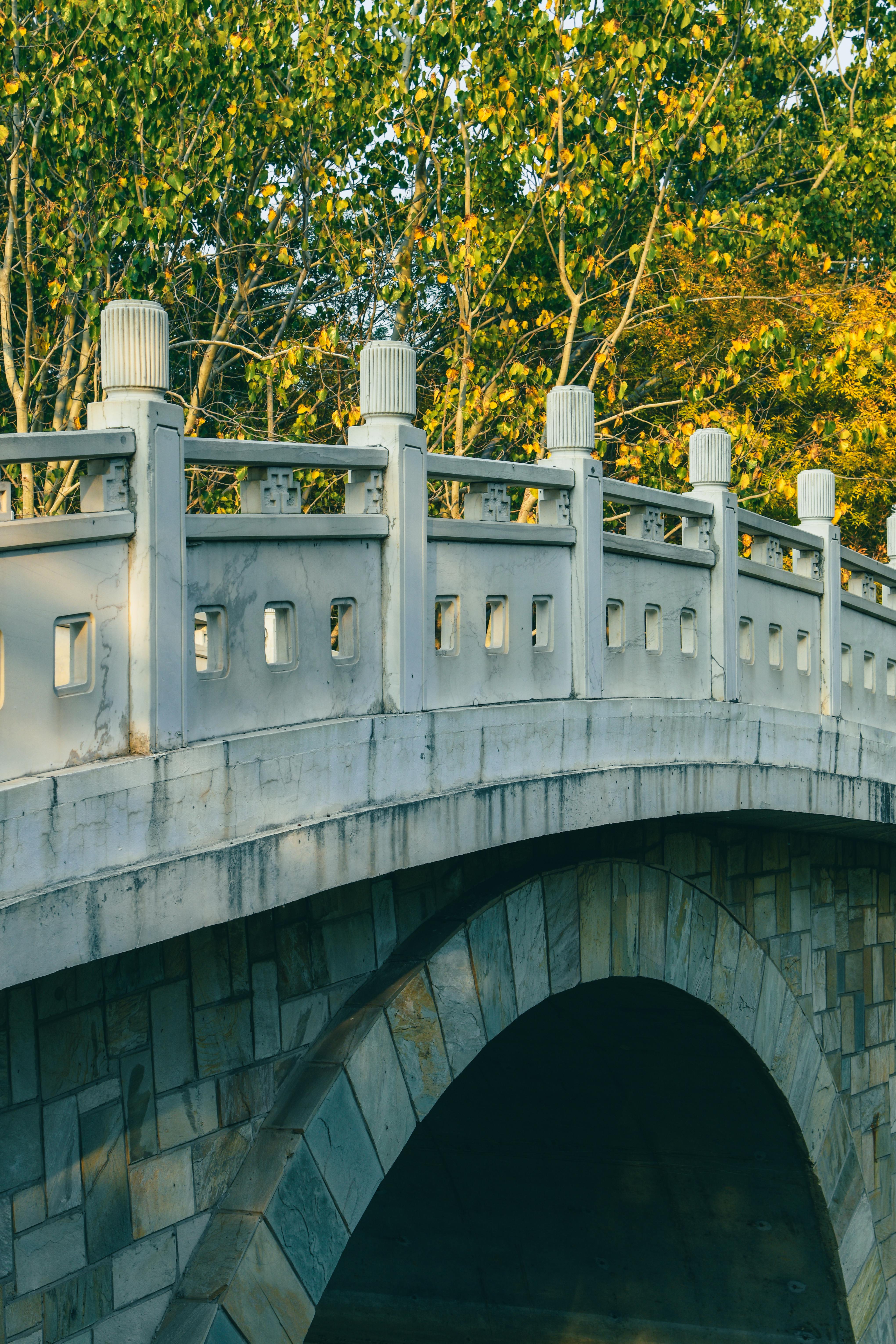 Gray Concrete Bridge Near Green Trees · Free Stock Photo