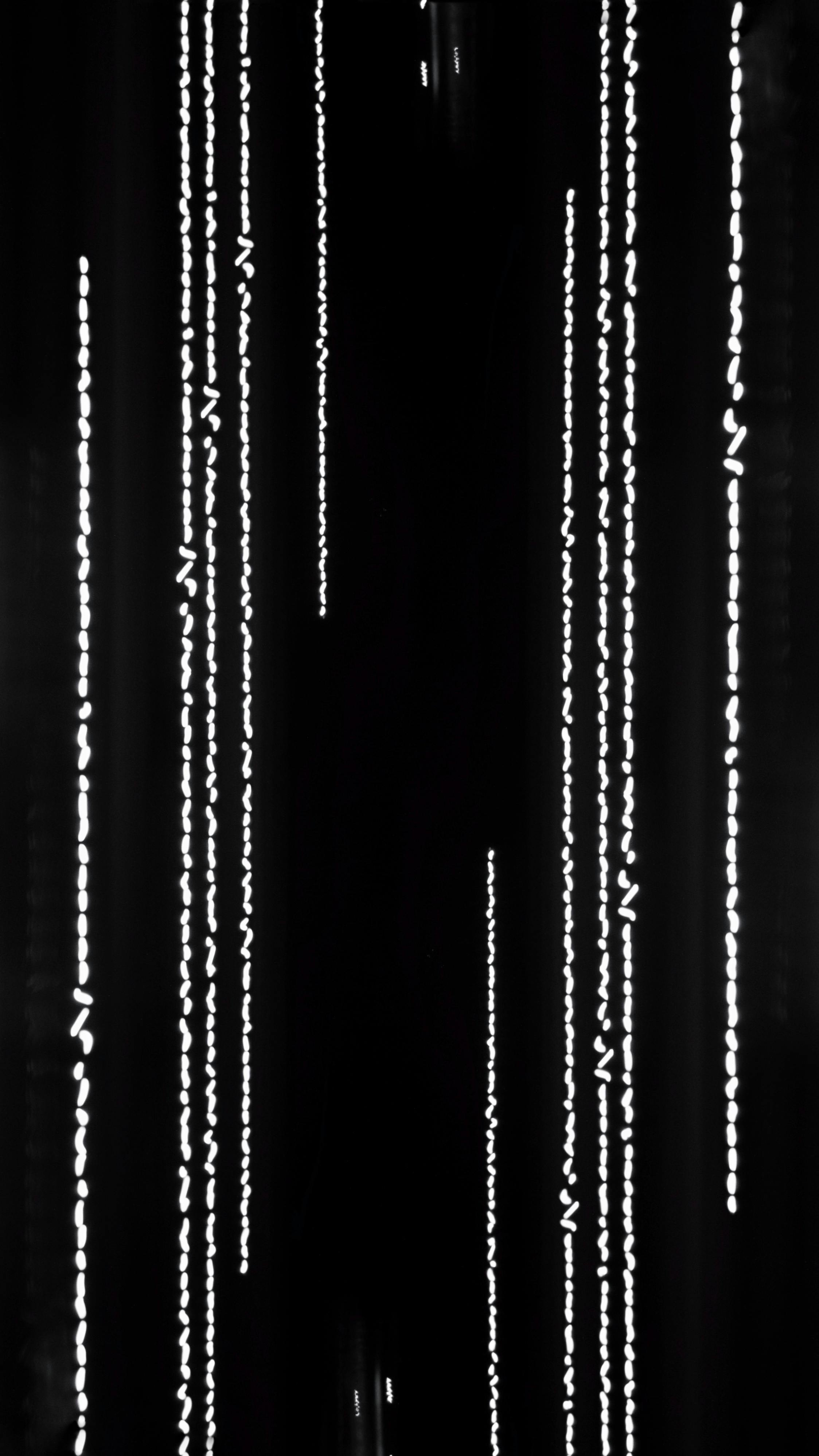 White Dots Photos, Download The BEST Free White Dots Stock Photos & HD ...