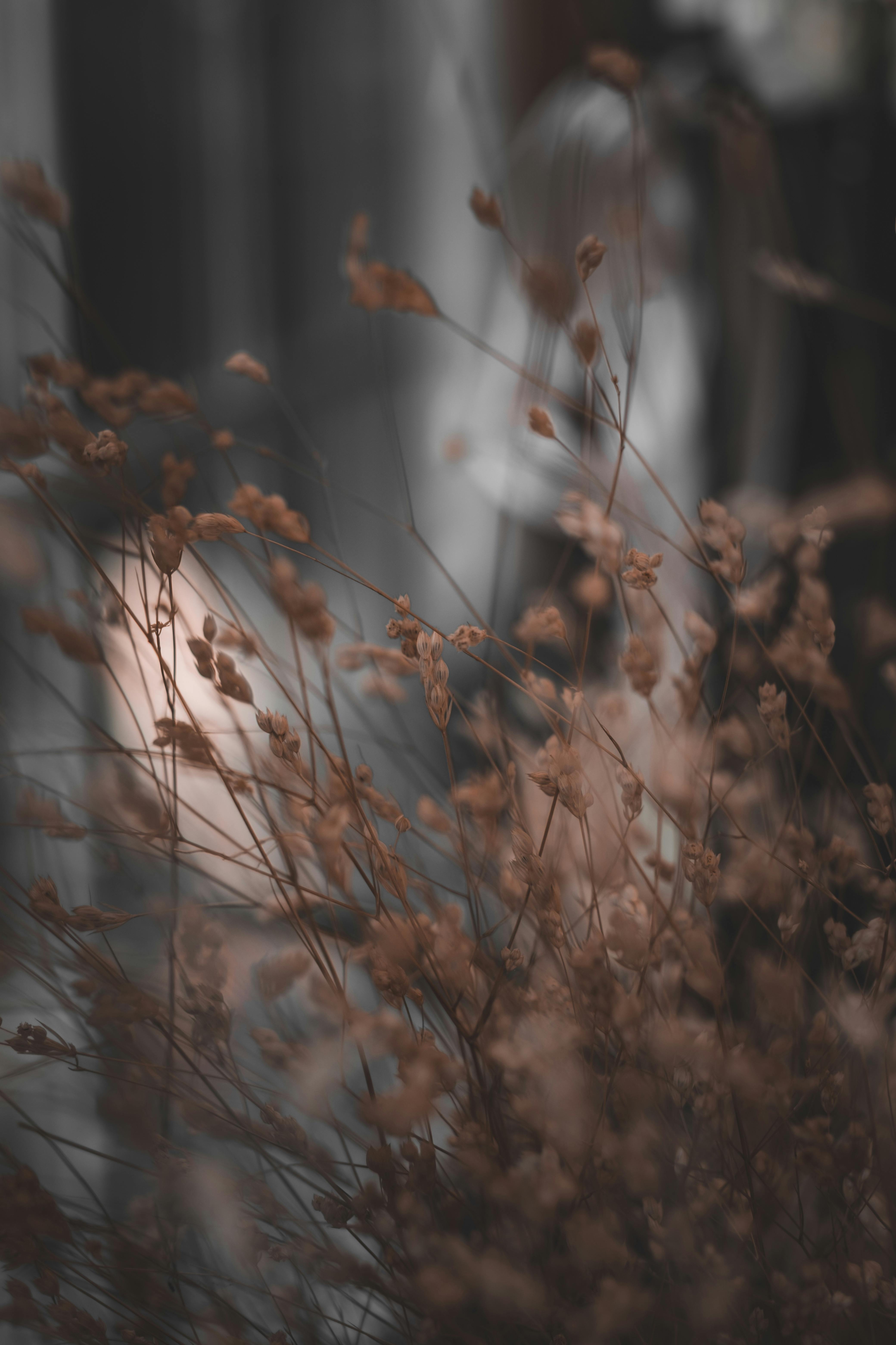 Close-up of Smoke · Free Stock Photo