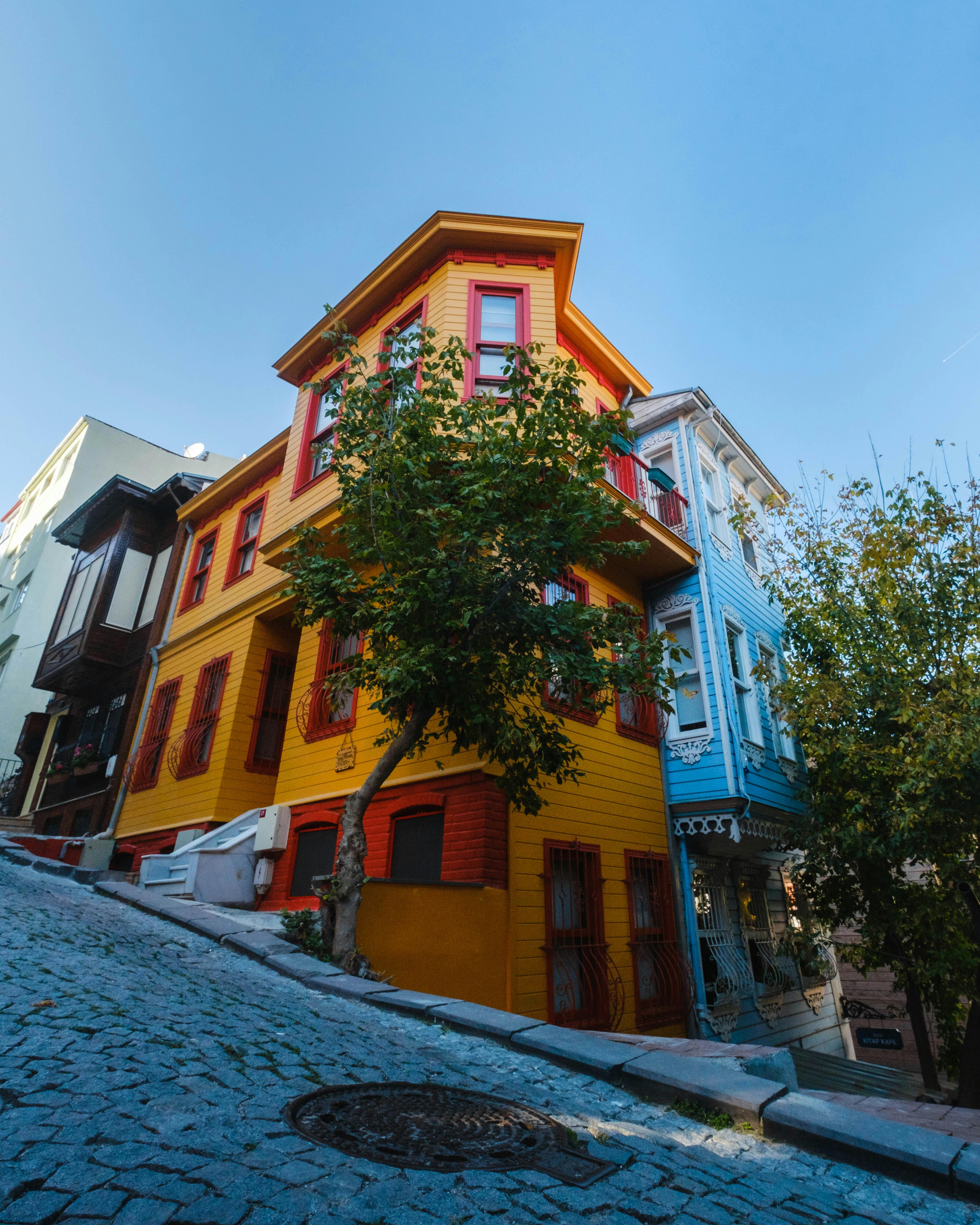 Street and Tree near Buildings in Town · Free Stock Photo