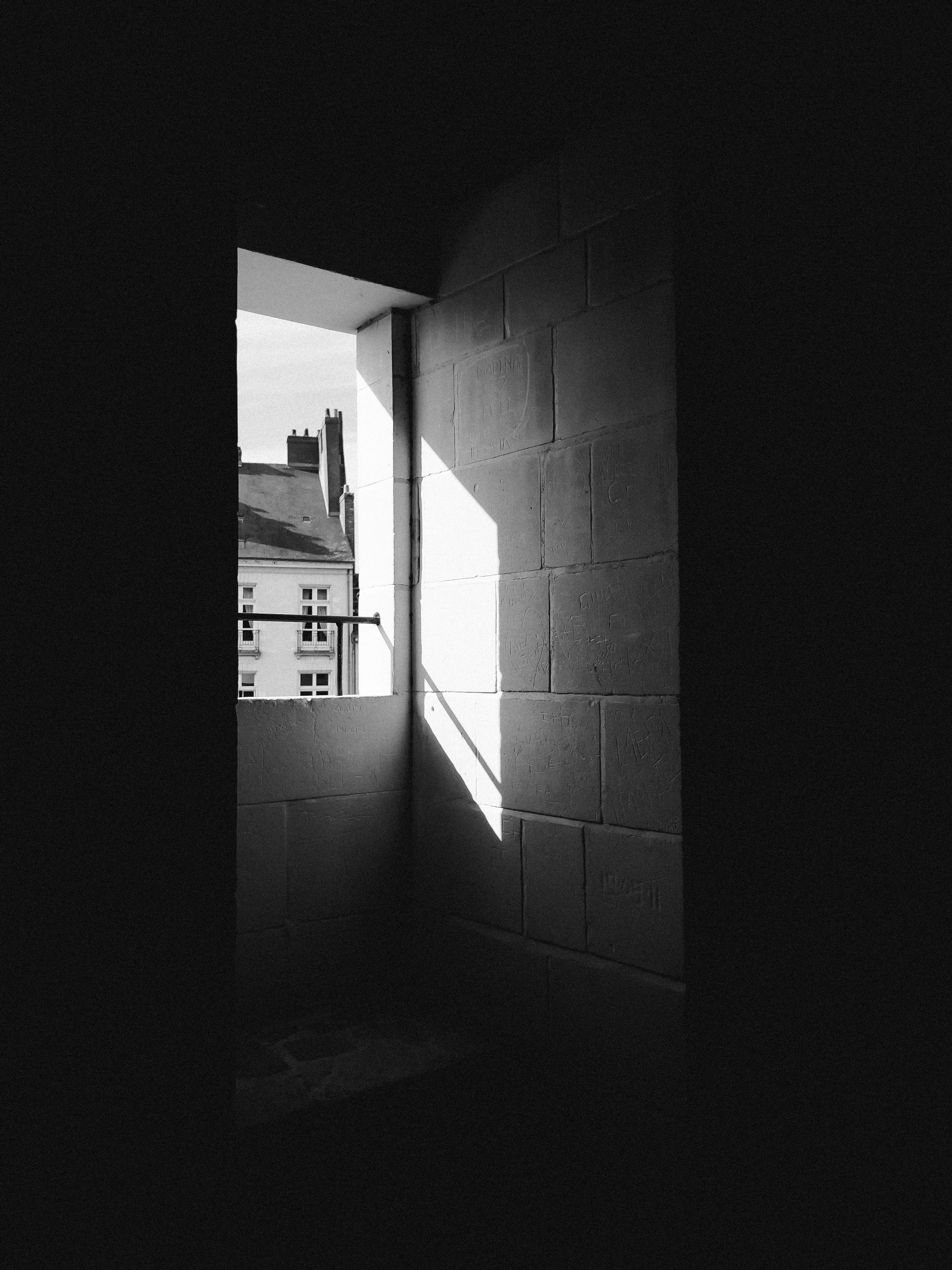 Shadow and Sunlight · Free Stock Photo