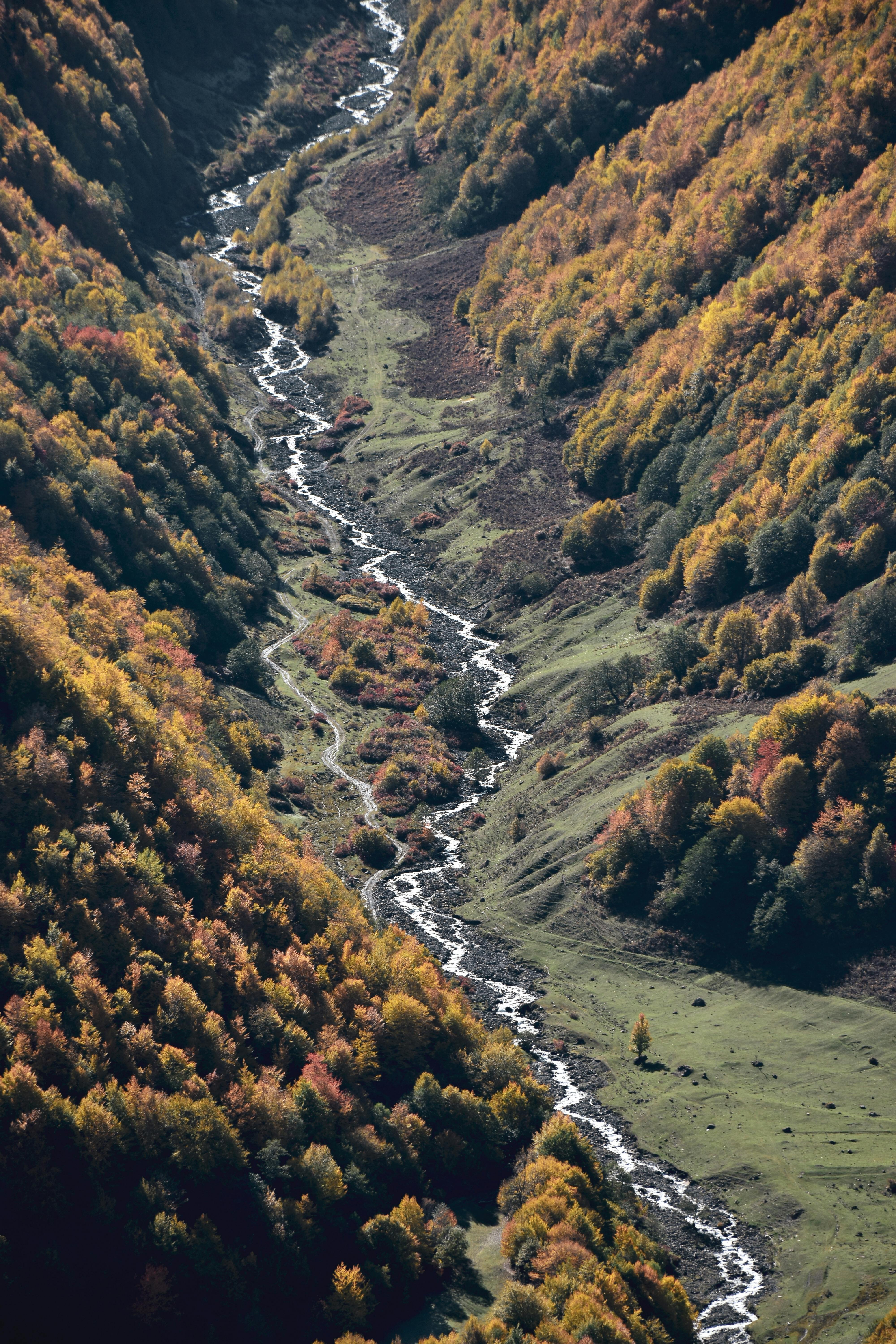 Mountain Valley with a Stream and Forests · Free Stock Photo