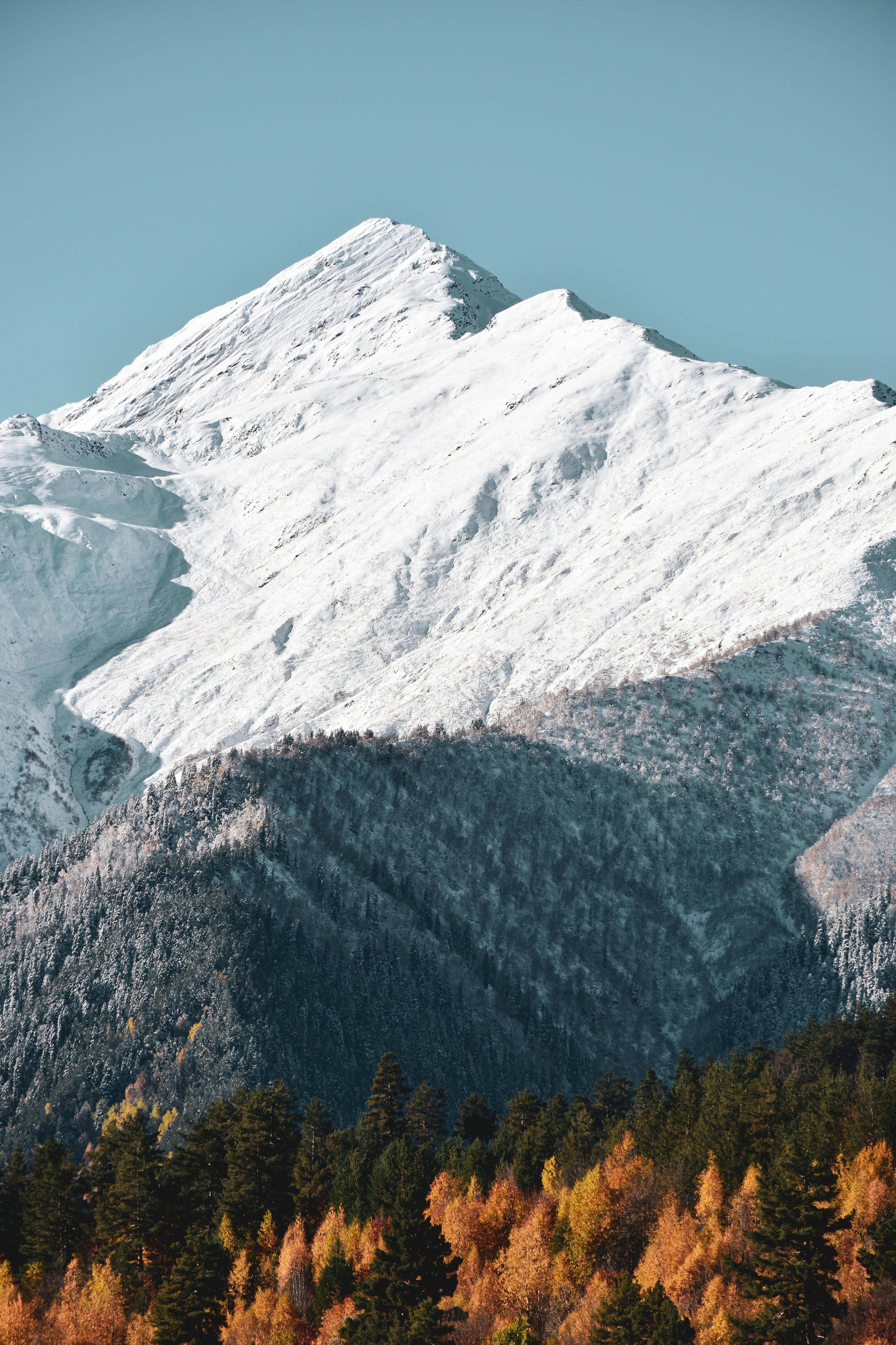 Autumn Forest and Frosted Forest in Snowy Mountains · Free Stock Photo
