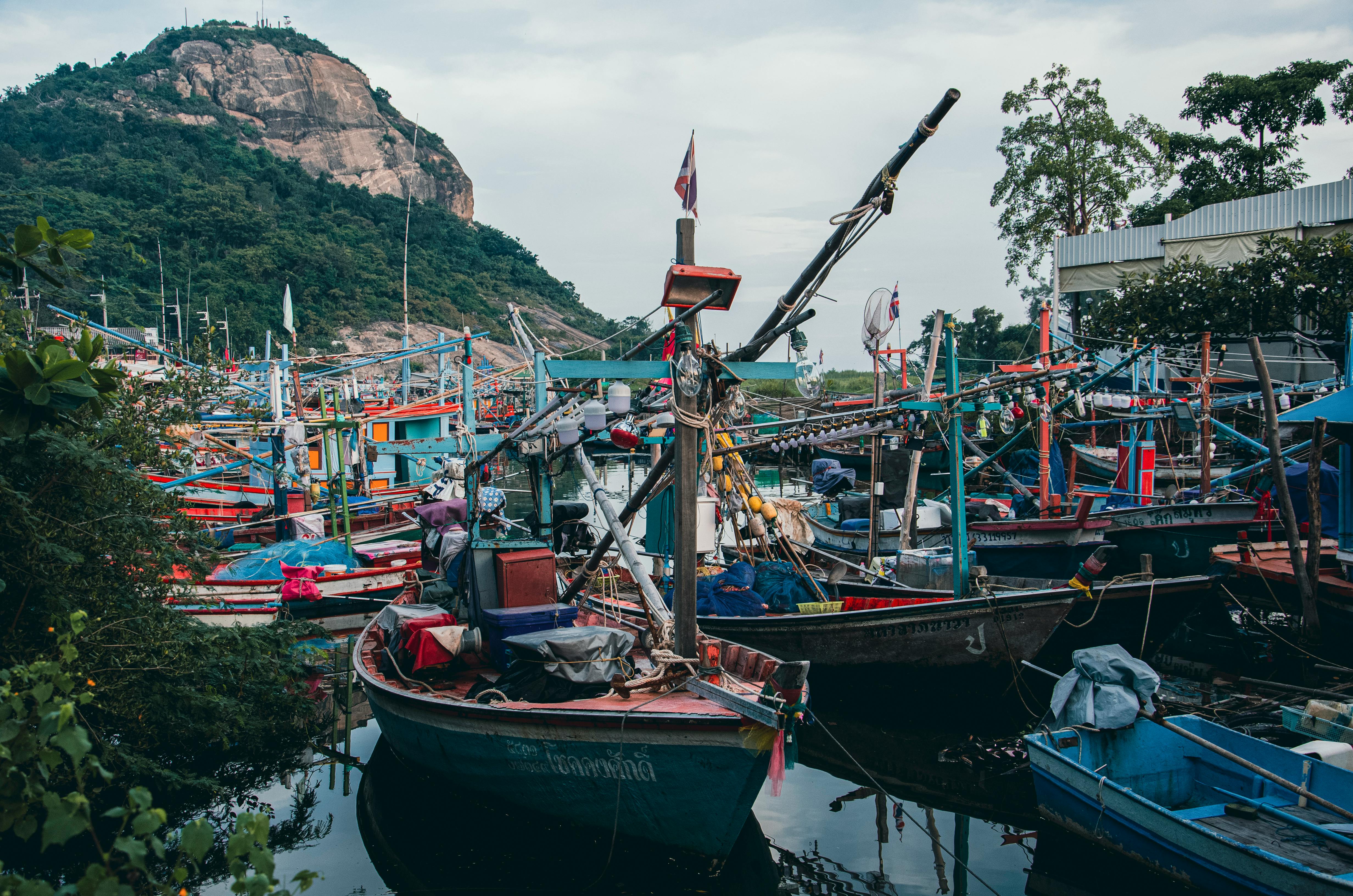 Boats in a Harbor · Free Stock Photo